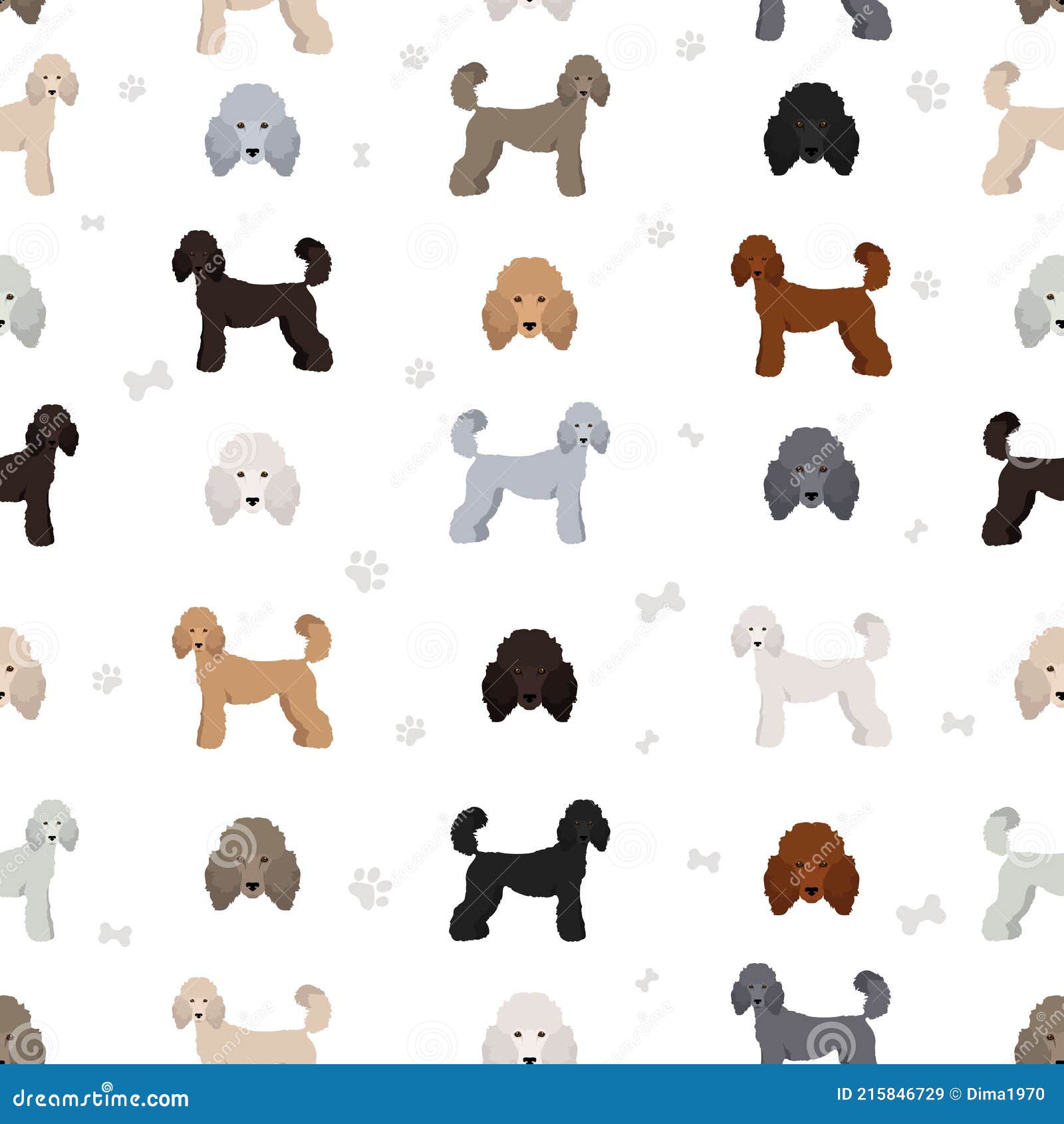 Standard Poodle Seamless Pattern. Different Poses, Coat Colors Set ...