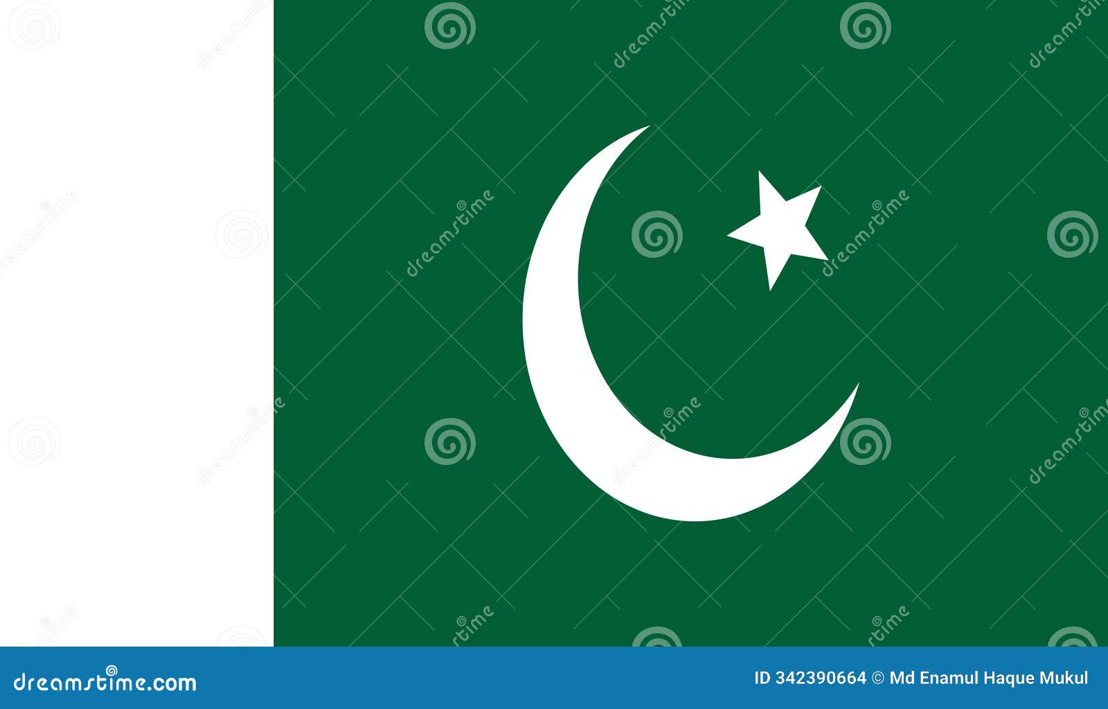 Standard Size Flag Icon. a Rectangular Flag of the Pakistan. Stock ...