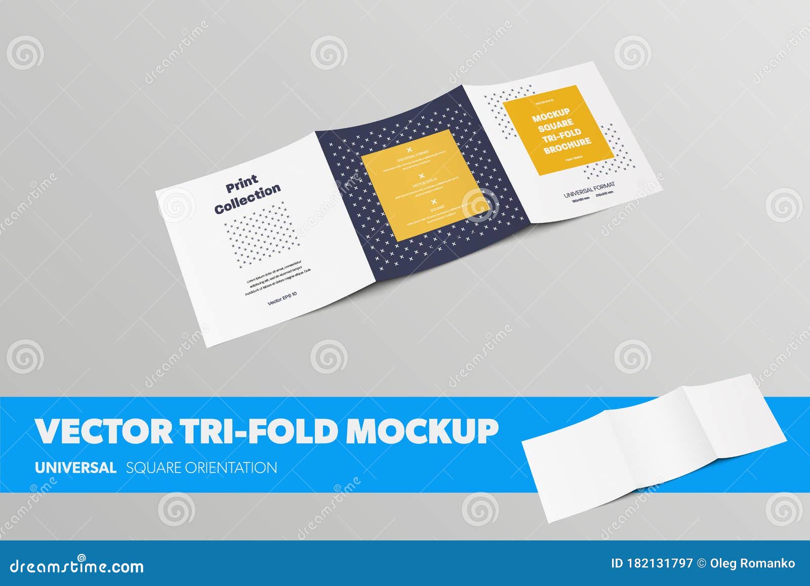 Standard Square Vector Booklet Template, with Realistic Shadows, Back ...