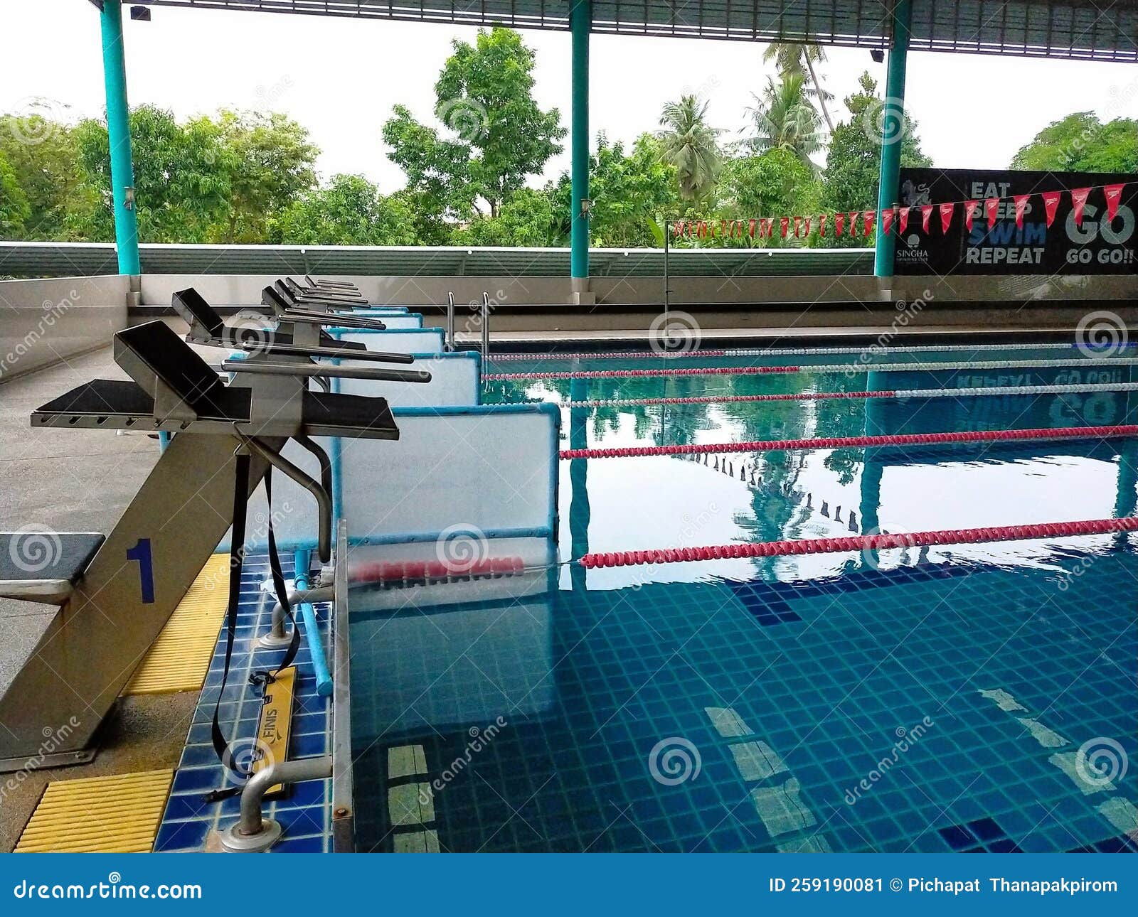 A Standard Swimming Pool with Starting Blocks Stock Image - Image of ...