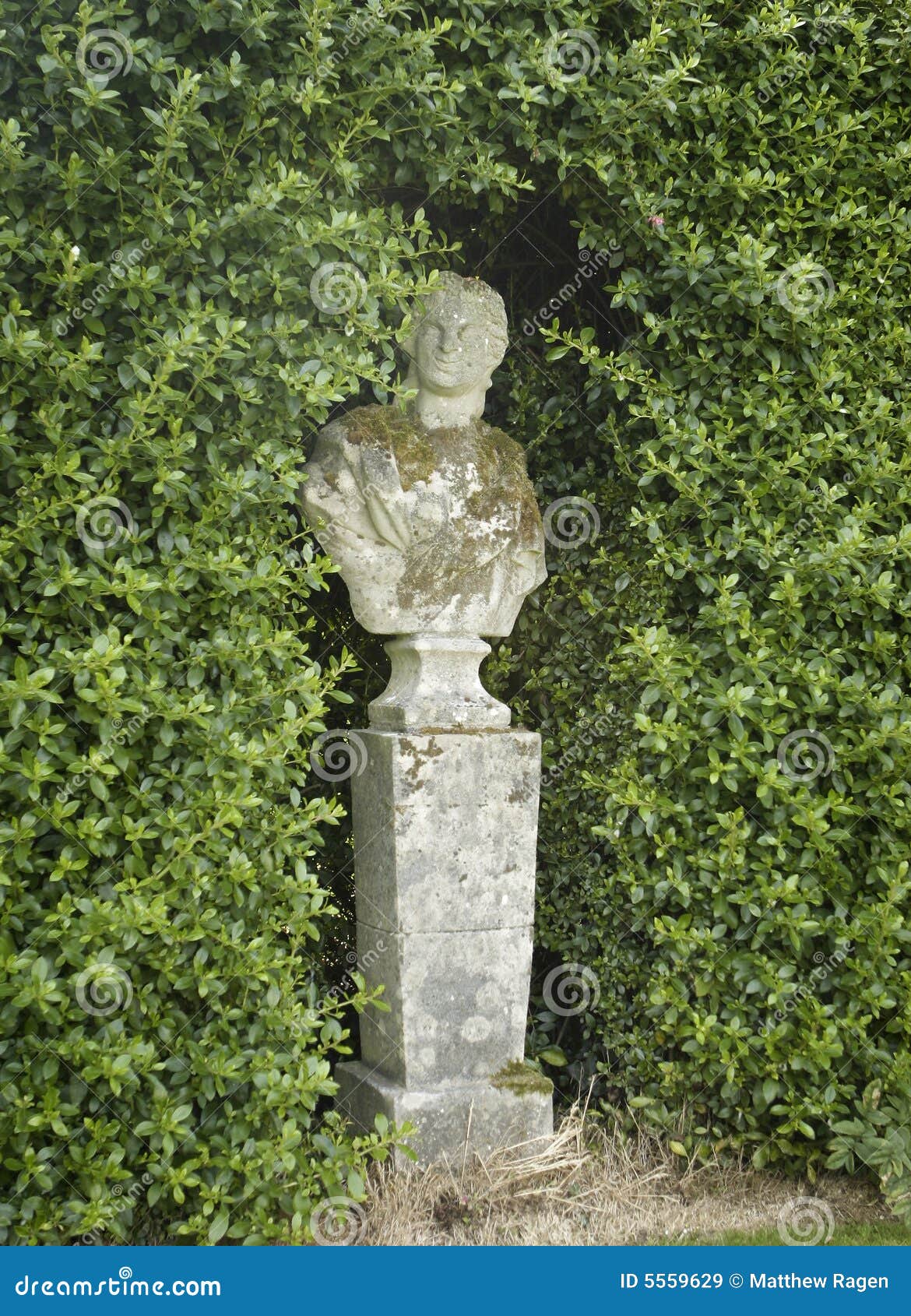 Standbeeld in Tuin stock afbeelding. Image of land, voetstuk - 5559629