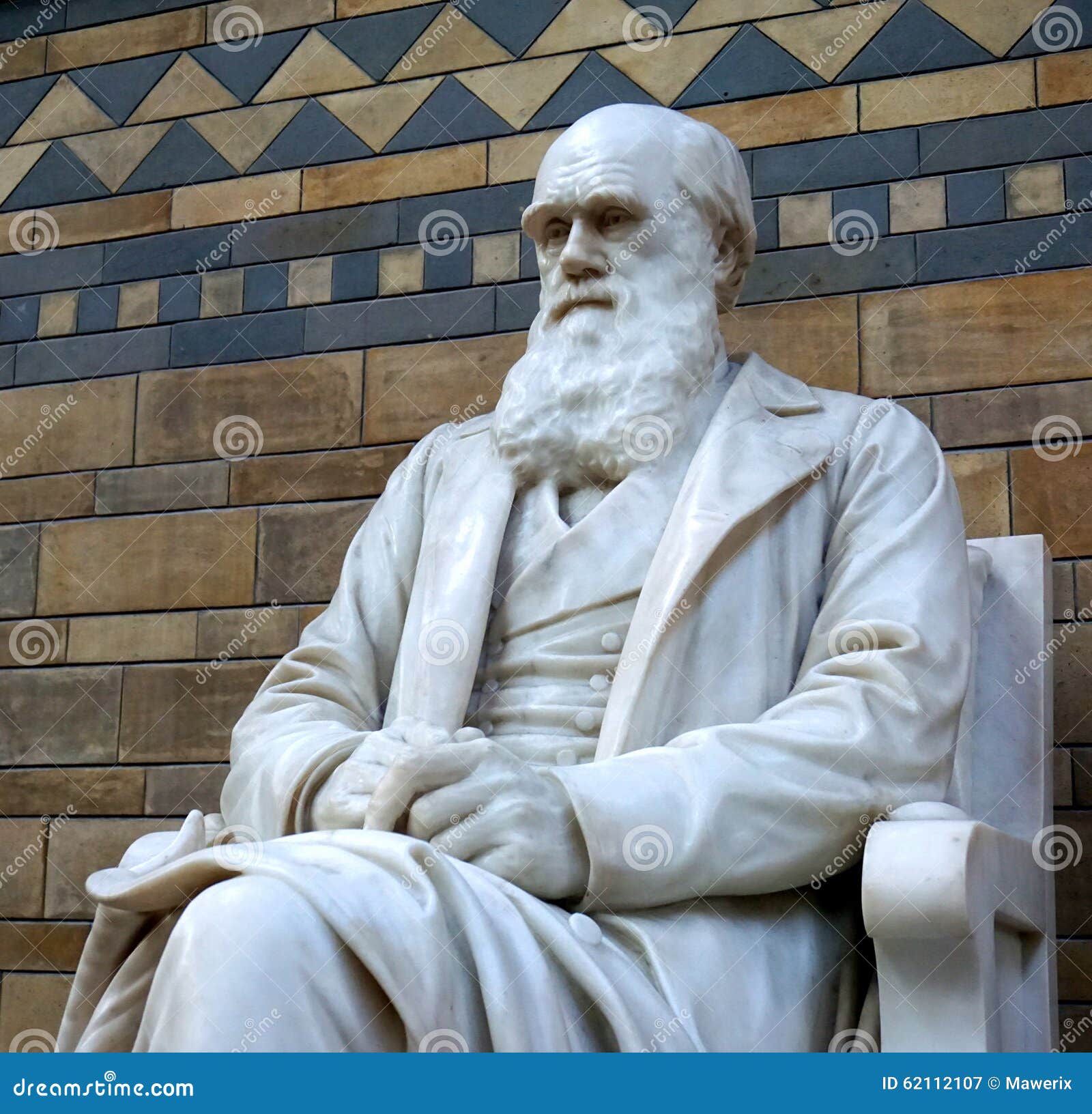Standbeeld Van Charles Darwin Redactionele Fotografie - Image of ...