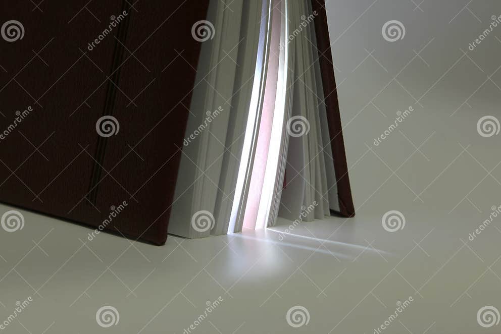 Standing Ajar at the End of the Book with Proceeds from Her Light Stock ...