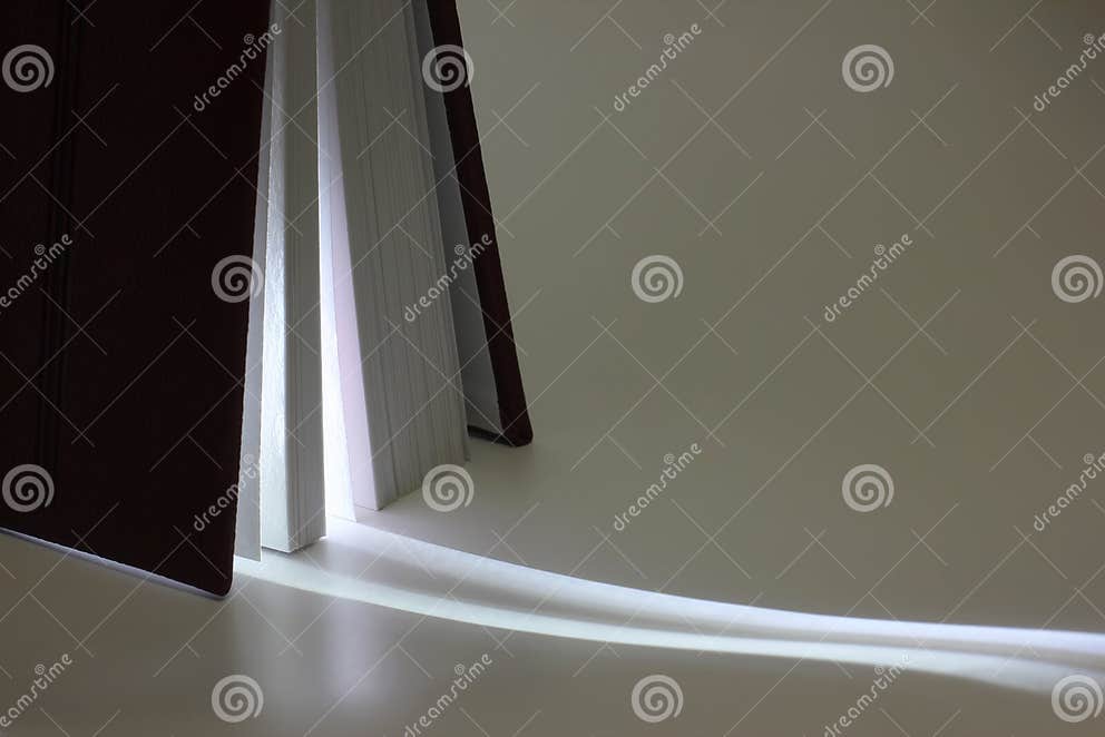 Standing Ajar at the End of the Book with Proceeds from Her Light Stock ...