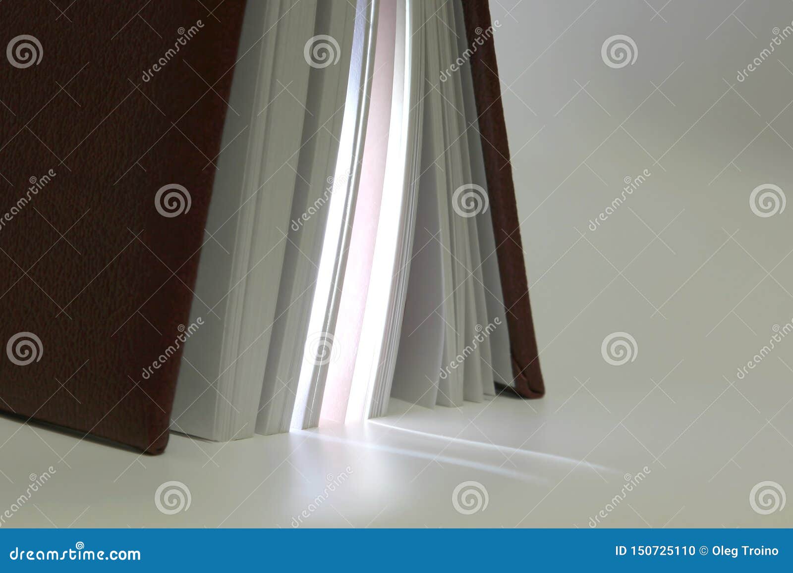 Standing Ajar at the End of the Book with Proceeds from Her Light Stock ...