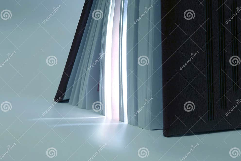 Standing Ajar at the End of the Book with Proceeds from Her Light Stock ...