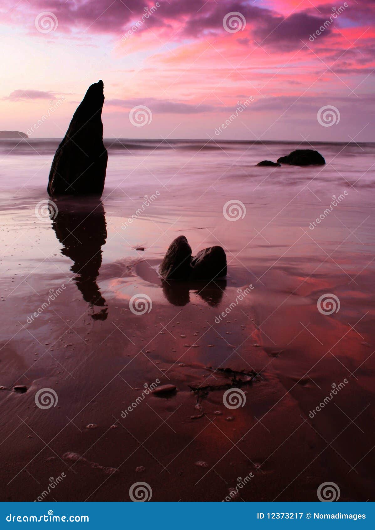 Standing Alone stock image. Image of alone, nature, silhouette - 12373217
