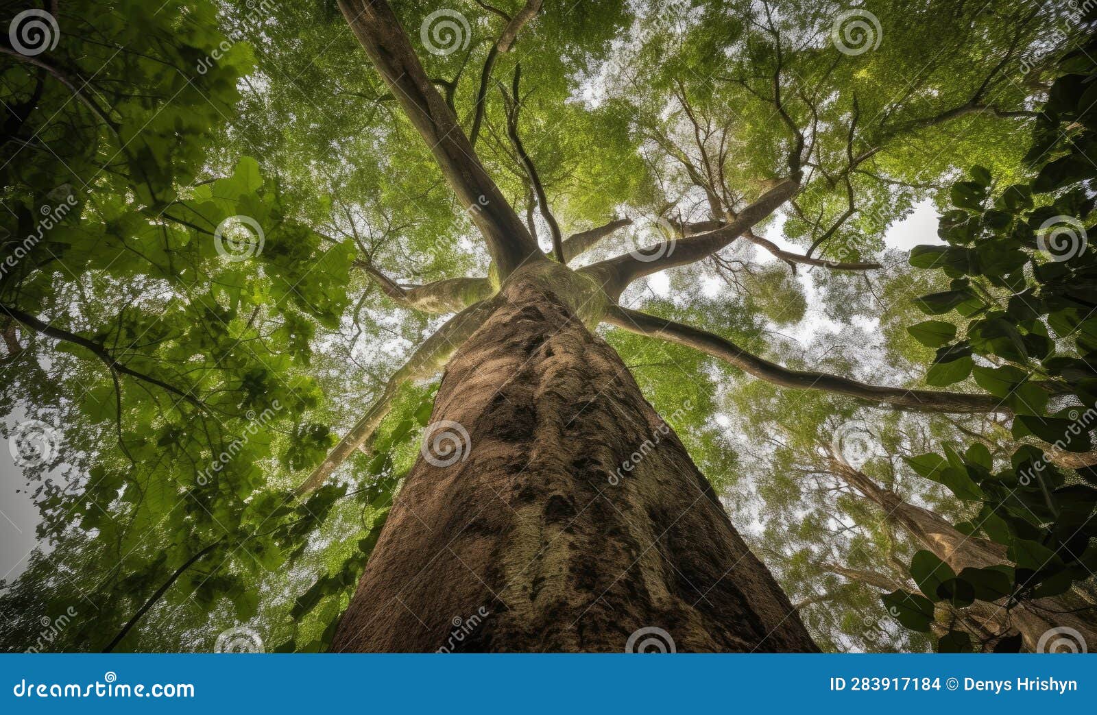 Standing in Awe of a Towering Tree in Wild Creating Using Generative AI ...