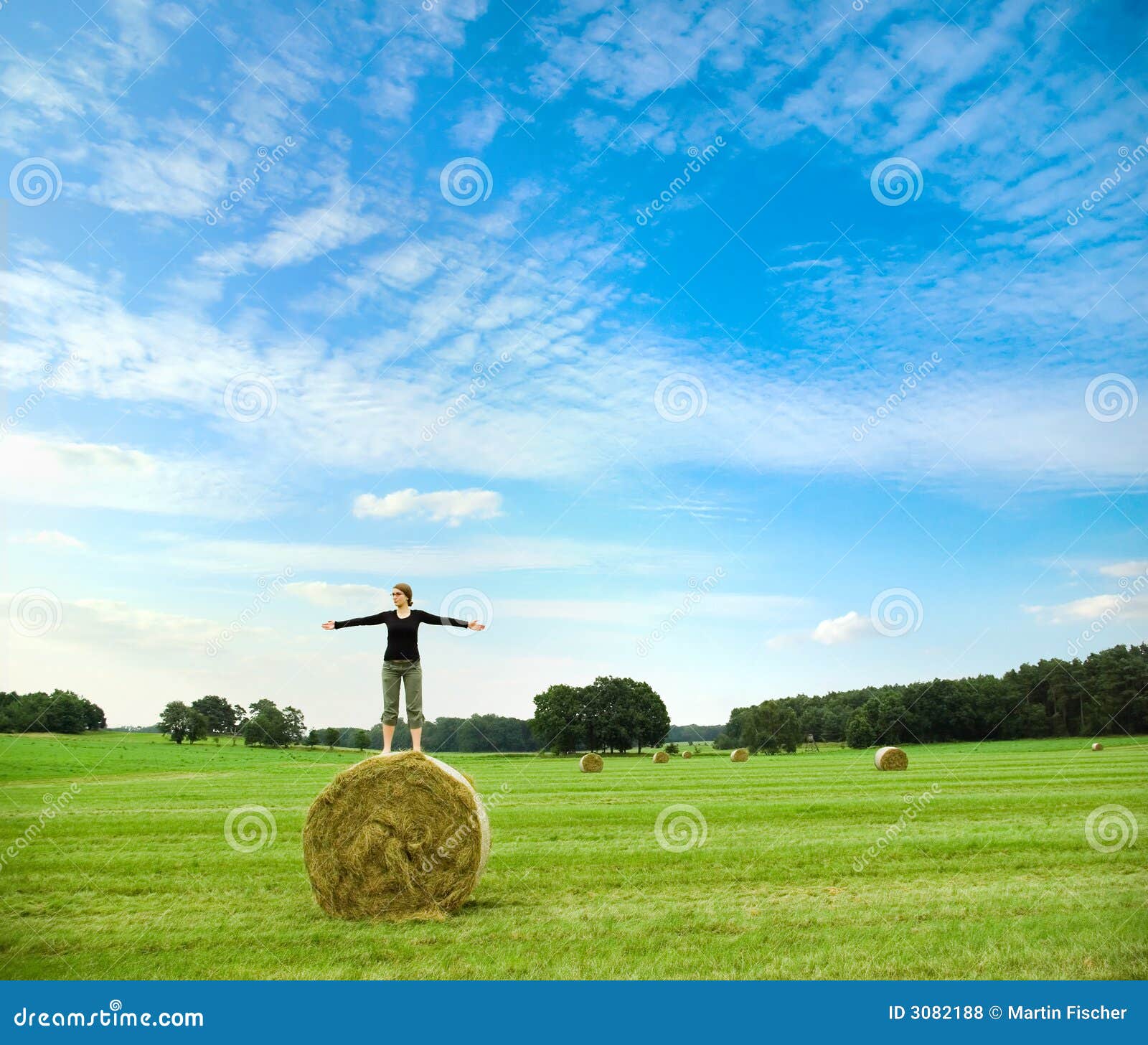 Standing on a bale of hay stock photo. Image of spacious - 3082188