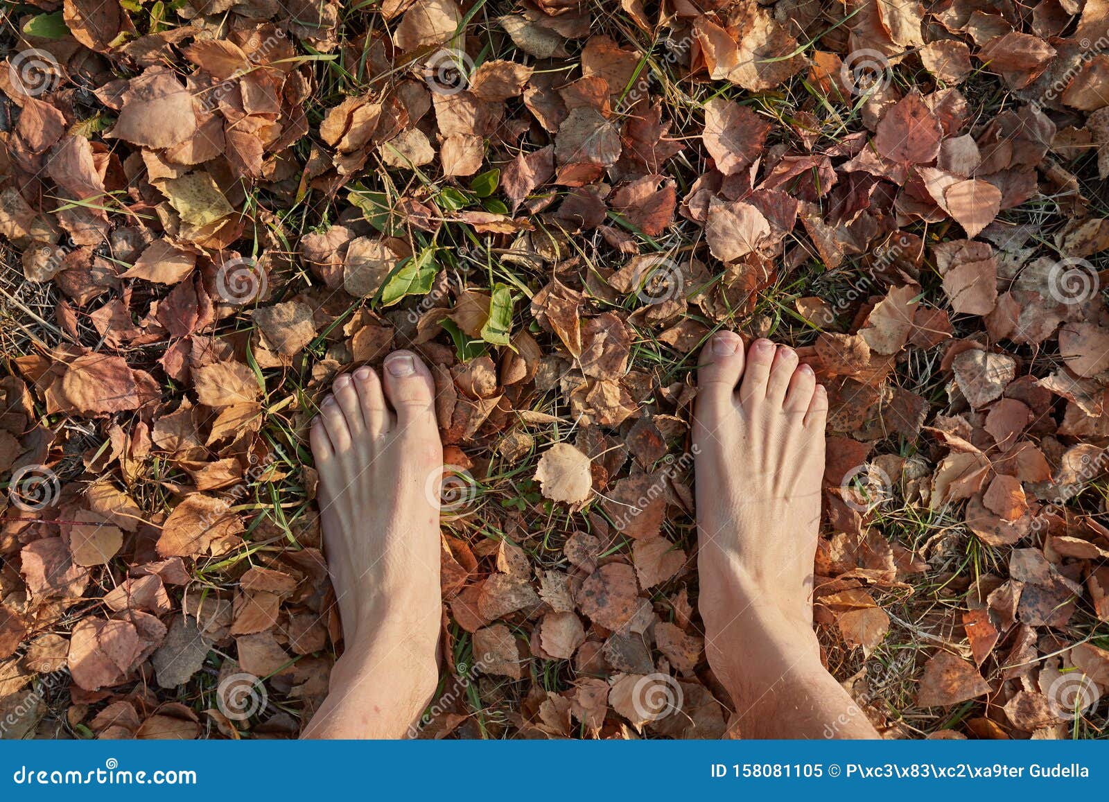 Walking barefoot in autumn stock image. Image of heap - 158081105