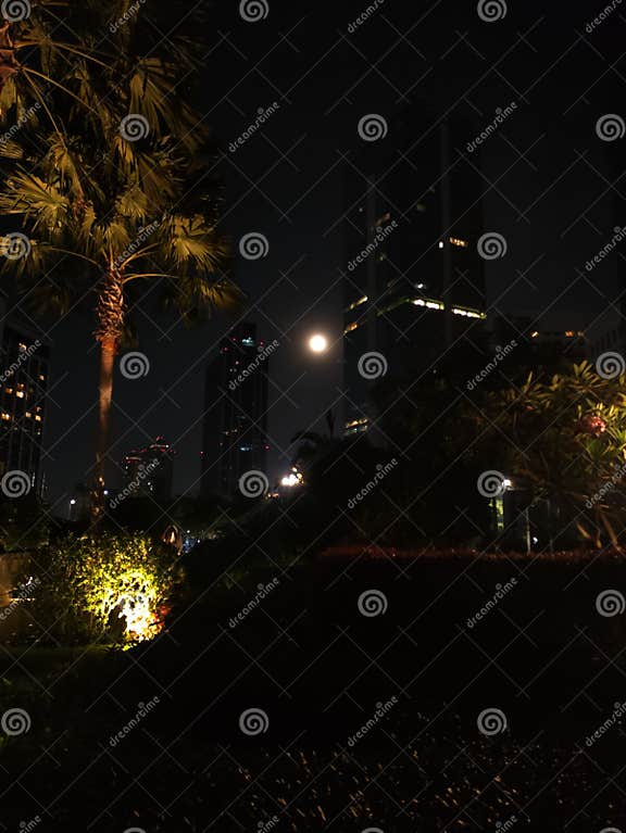 Standing Bathed in Moonlight at Night Stock Photo - Image of midnight ...
