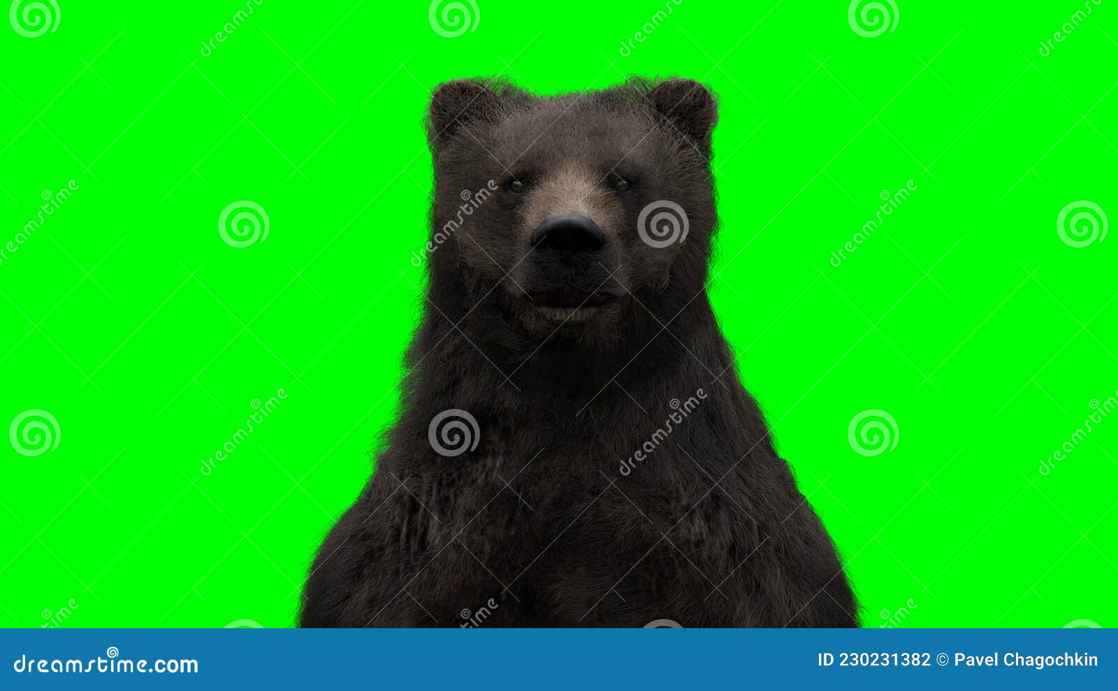 Standing Bear. Green Screen Isolate. 3d Rendering. Stock Illustration ...