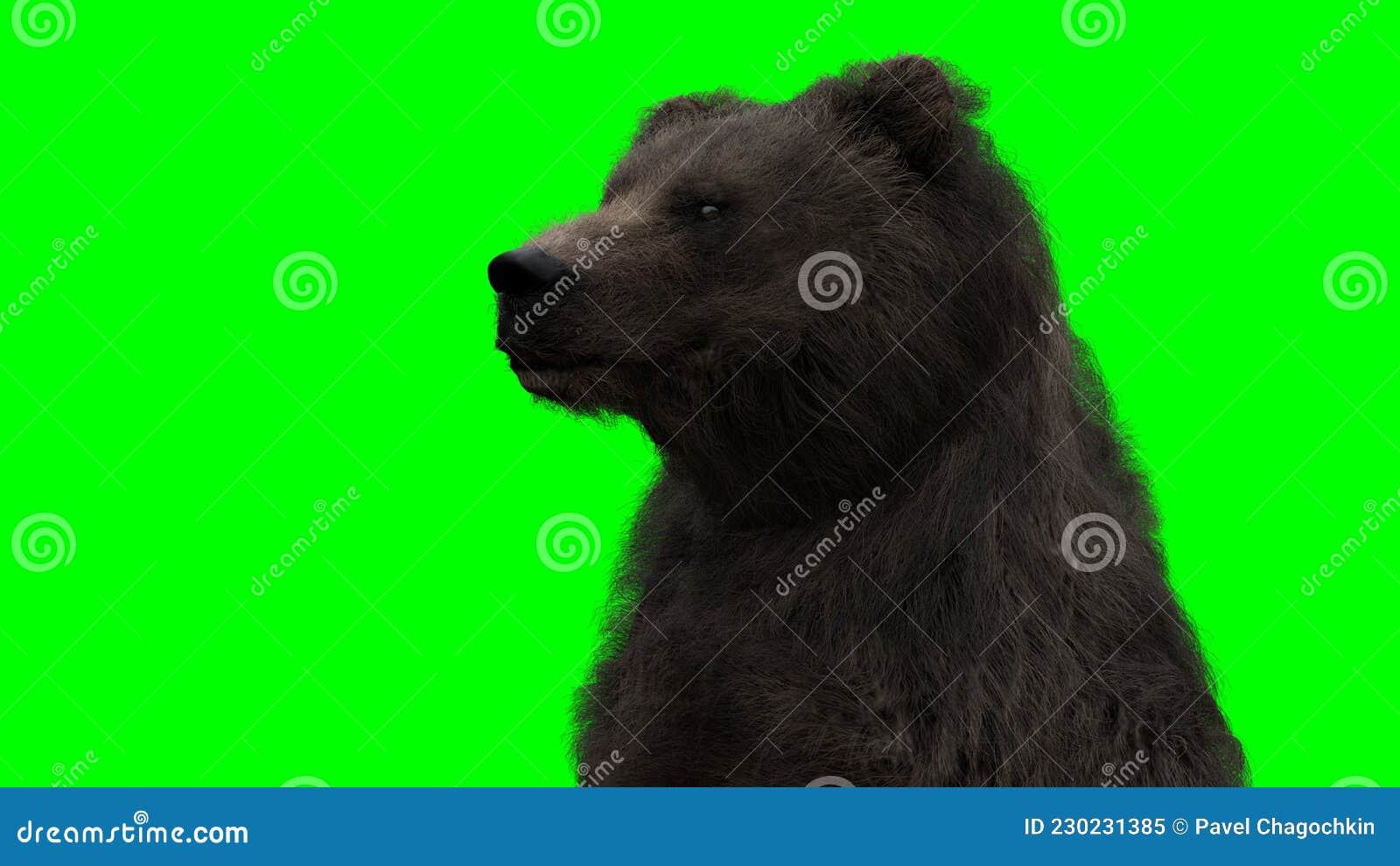 Standing Bear. Green Screen Isolate. 3d Rendering. Stock Illustration ...