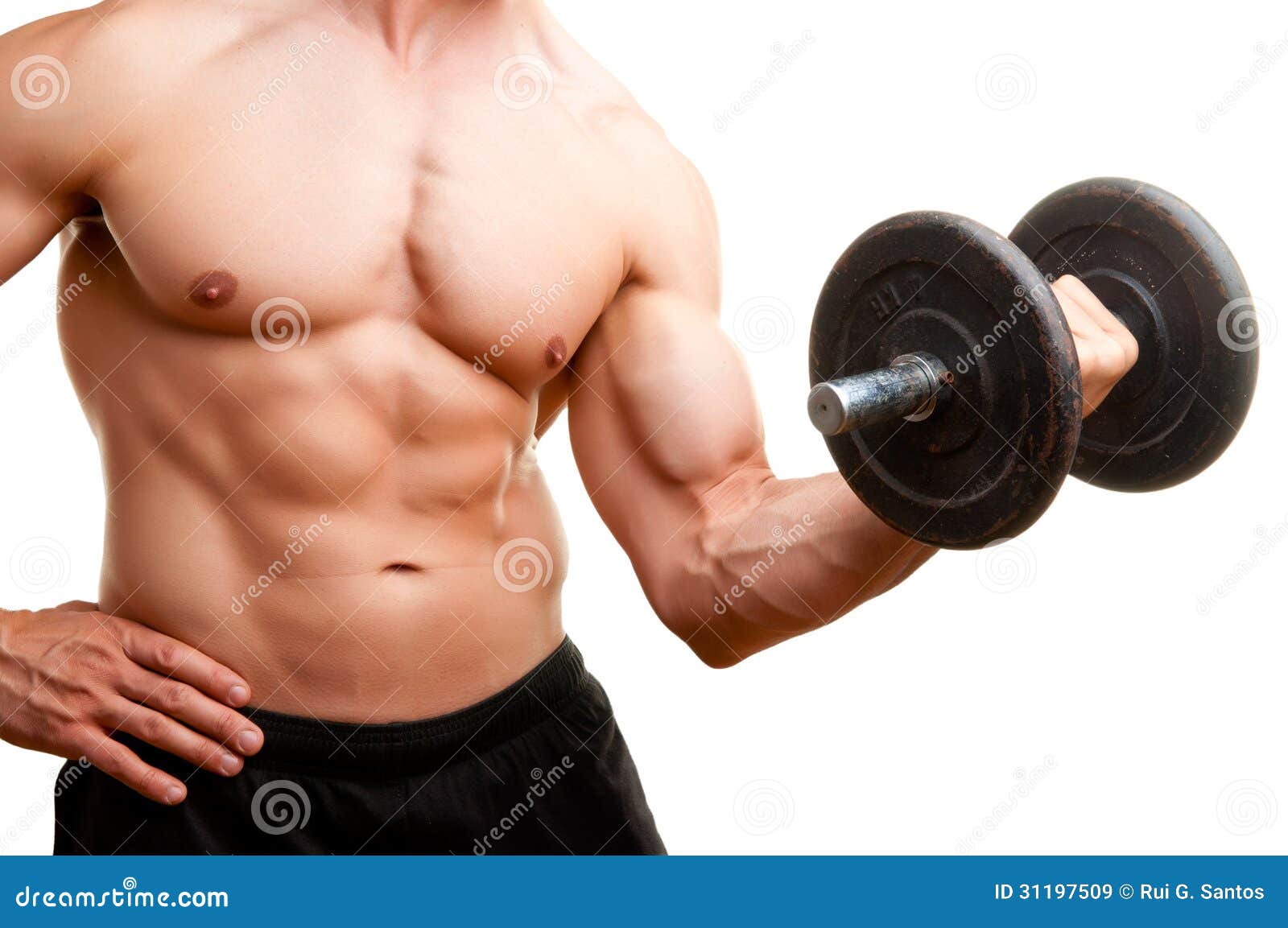 Standing Bicep Dumbbell Curl Stock Image - Image of gymnasium, exercise ...