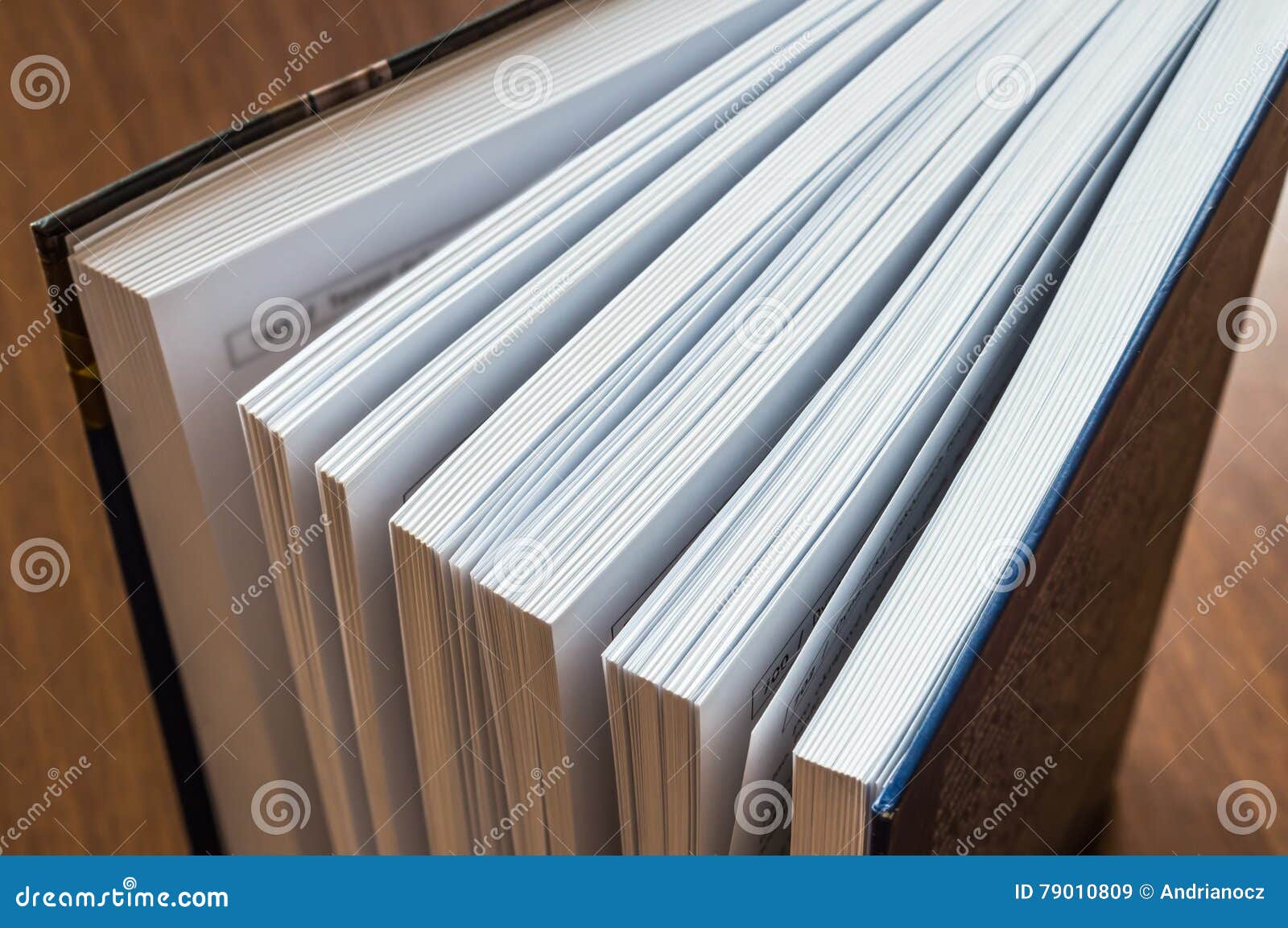 Standing book stock image. Image of historic, viewing - 79010809