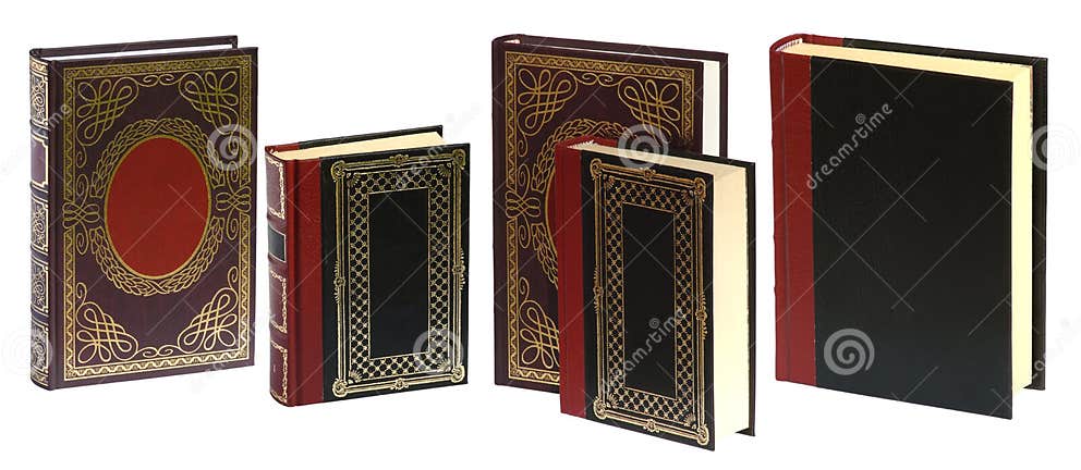 Standing books stock image. Image of literate, bookcase - 2265077