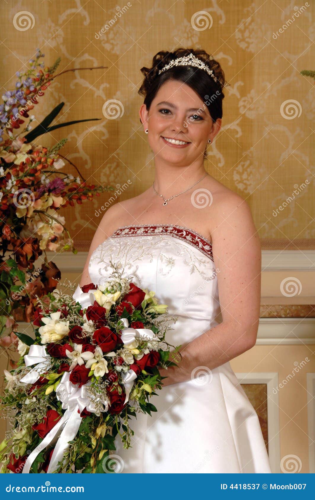 Standing Bride stock image. Image of engaged, bride, decision - 4418537