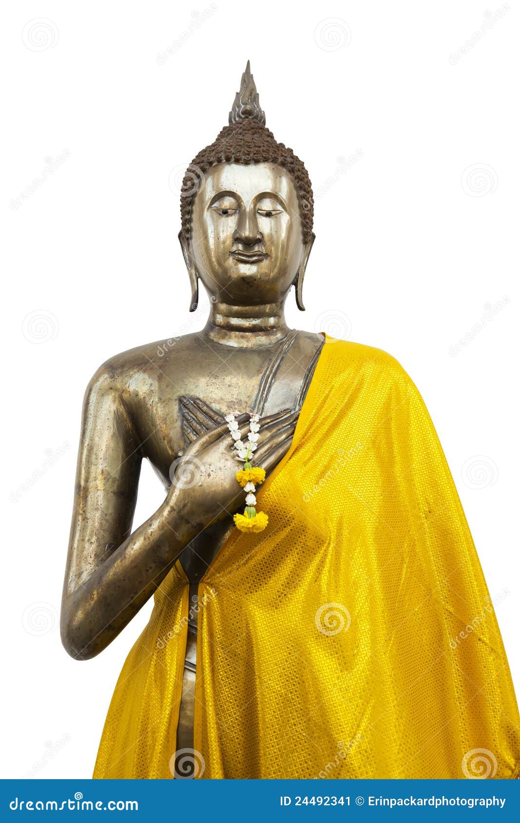 Standing Buddha on White Background Stock Image - Image of buddha ...