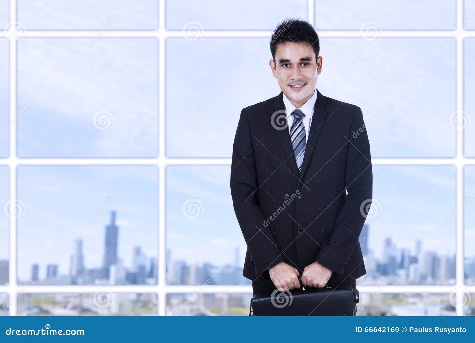 Standing Businessman with Briefcase Stock Image - Image of briefcase ...