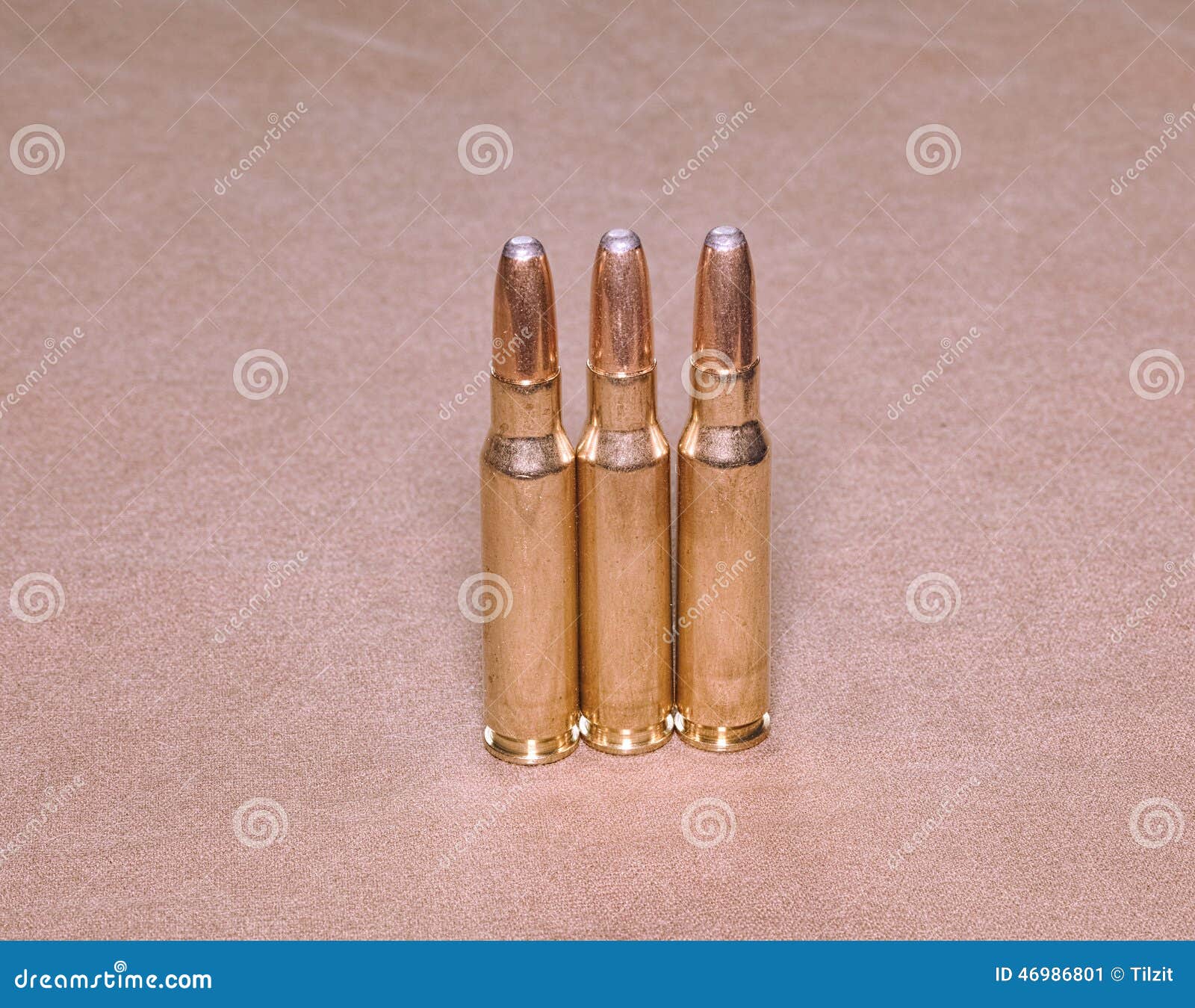 The Standing Cartriges 308 Winchester Caliber with Soft Point Bullets ...