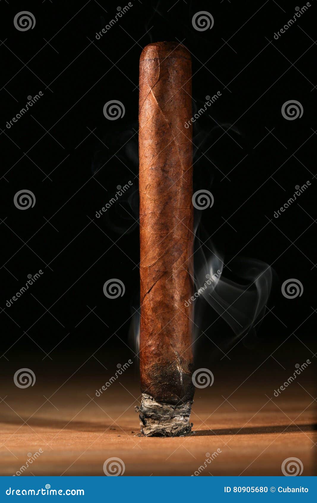Standing cigar stock photo. Image of tobacco, smoke, standing - 80905680
