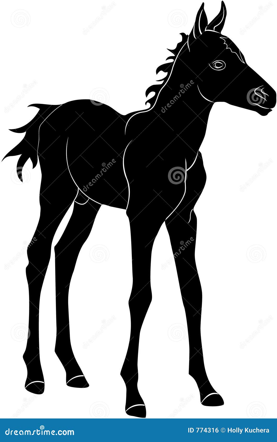 Colt Cartoons, Illustrations & Vector Stock Images - 3796 Pictures to ...