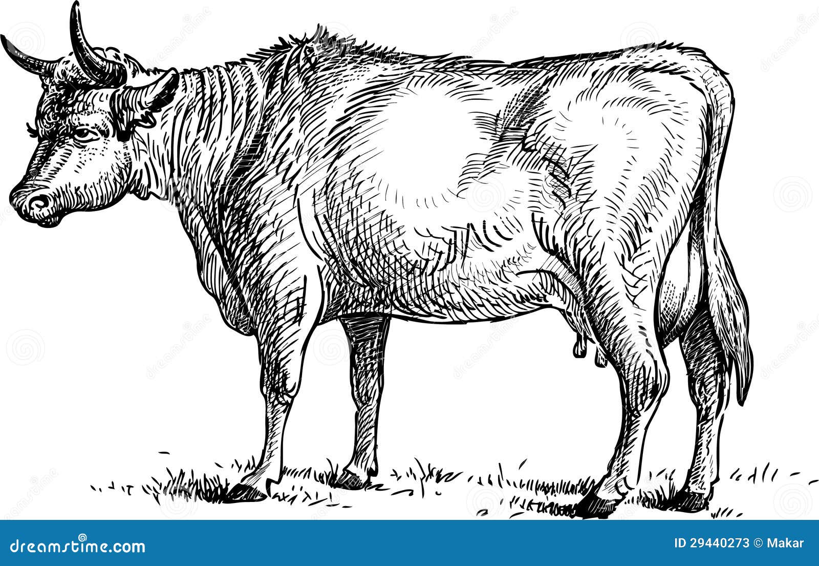 Standing cow stock vector. Illustration of horned, animal - 29440273