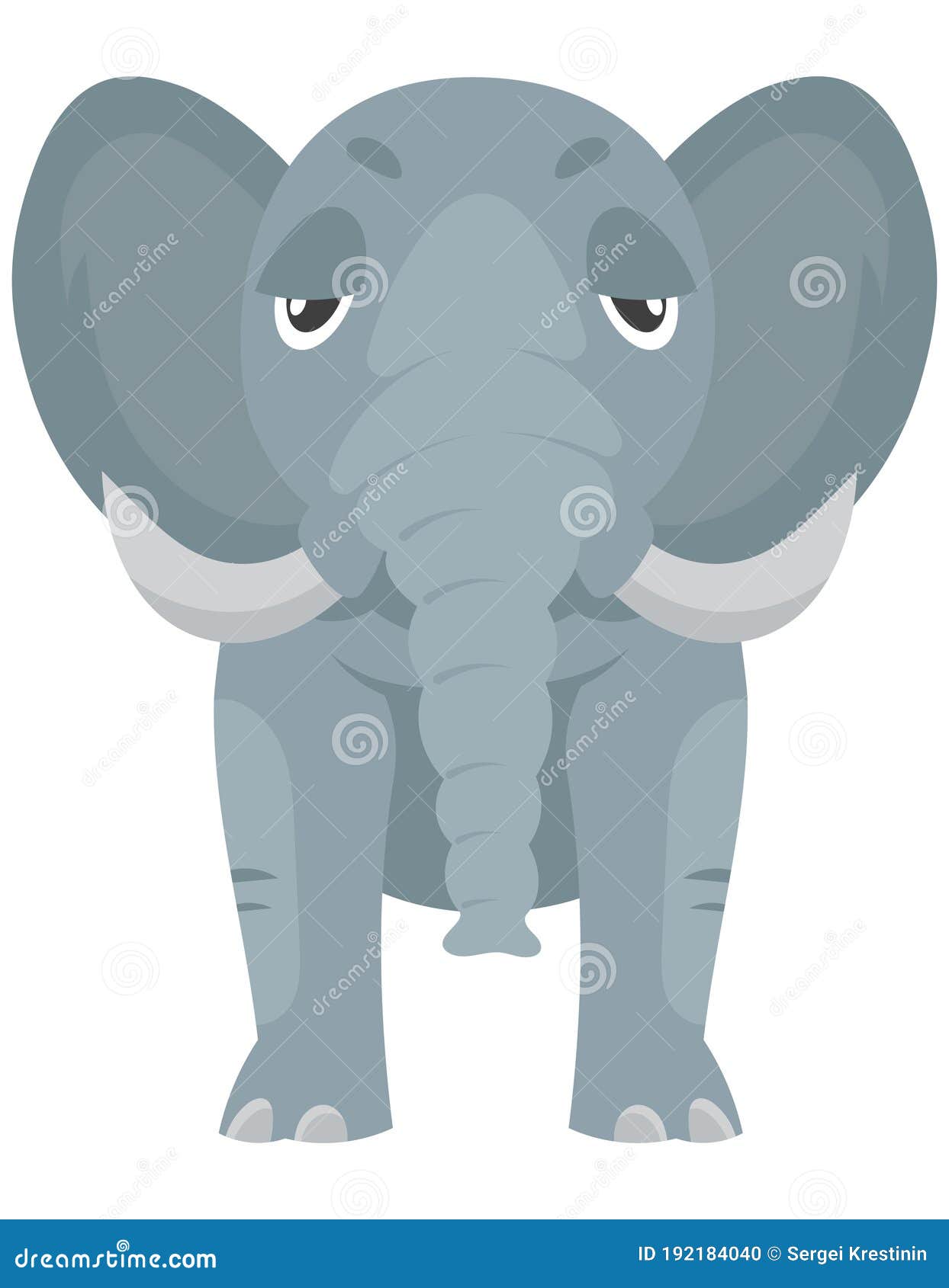 Standing Elephant Front View. Stock Vector - Illustration of front ...