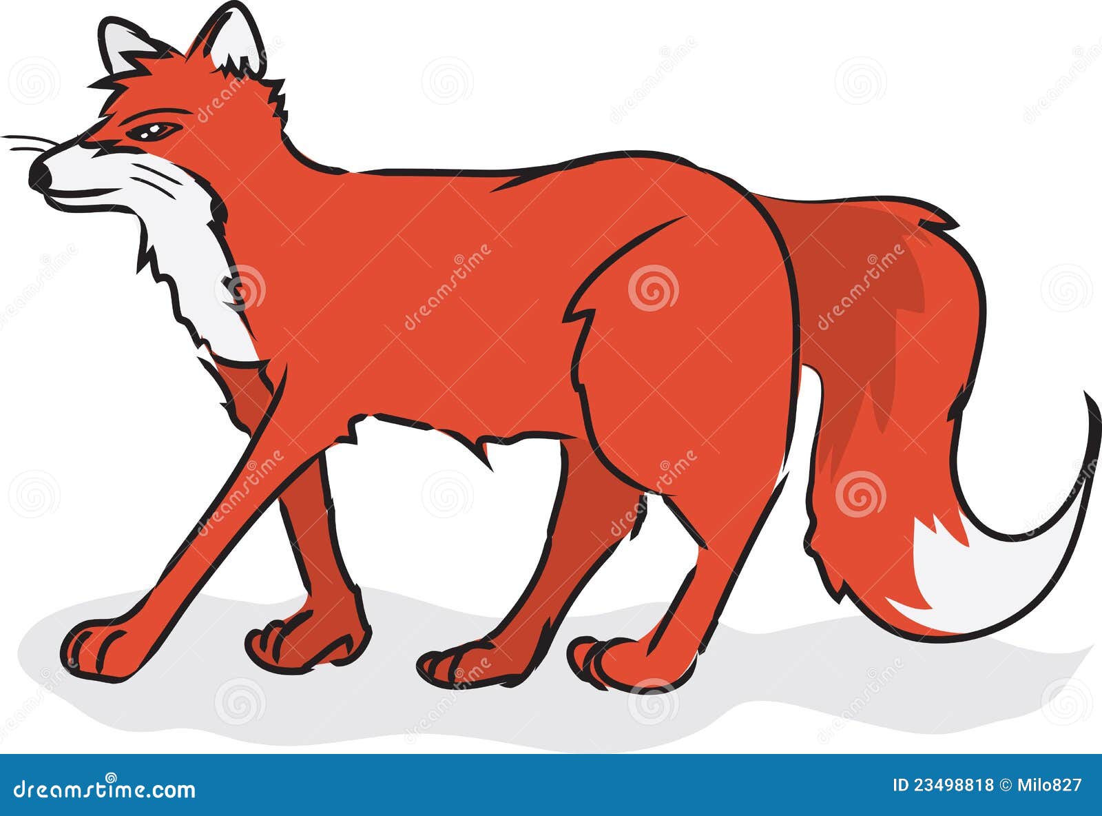 Standing Fox stock vector. Illustration of hunting, animal - 23498818