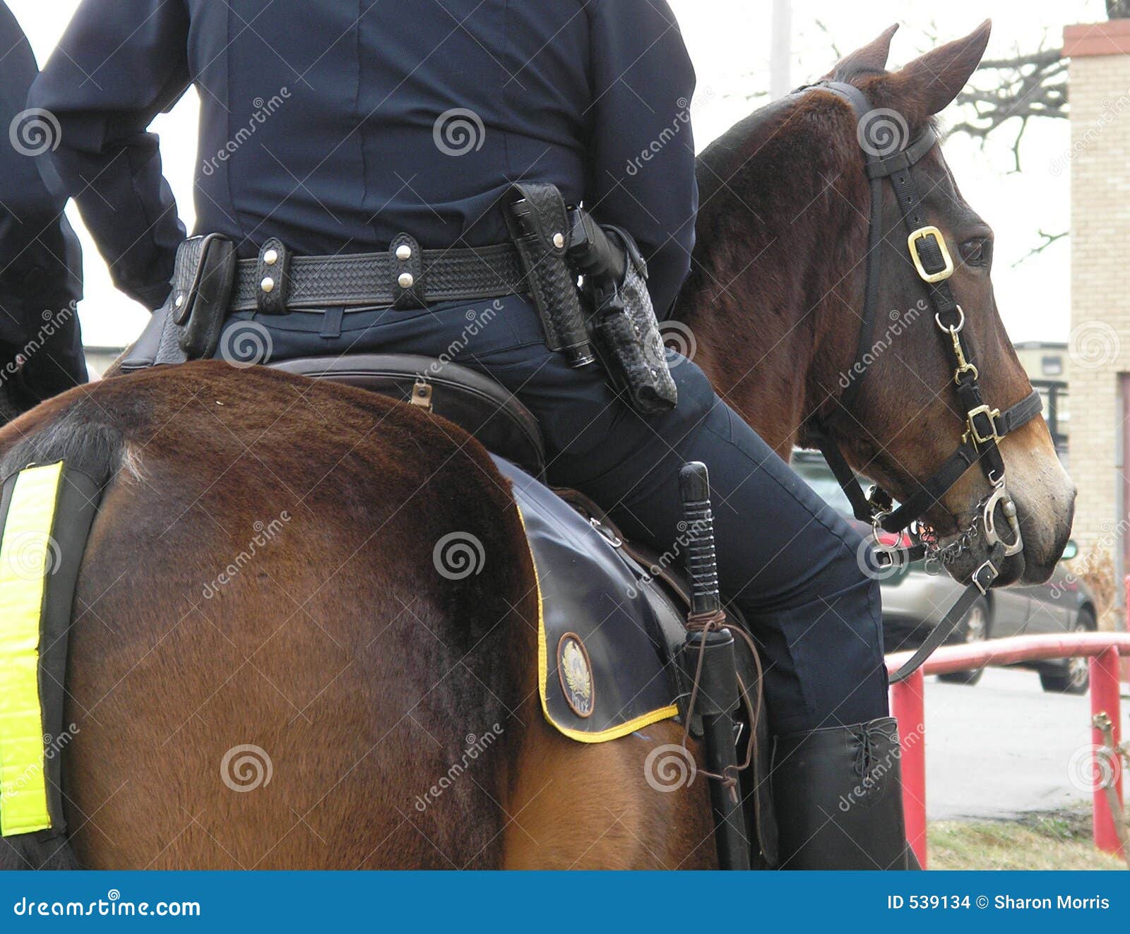 Standing Guard stock photo. Image of club, guard, billy - 539134