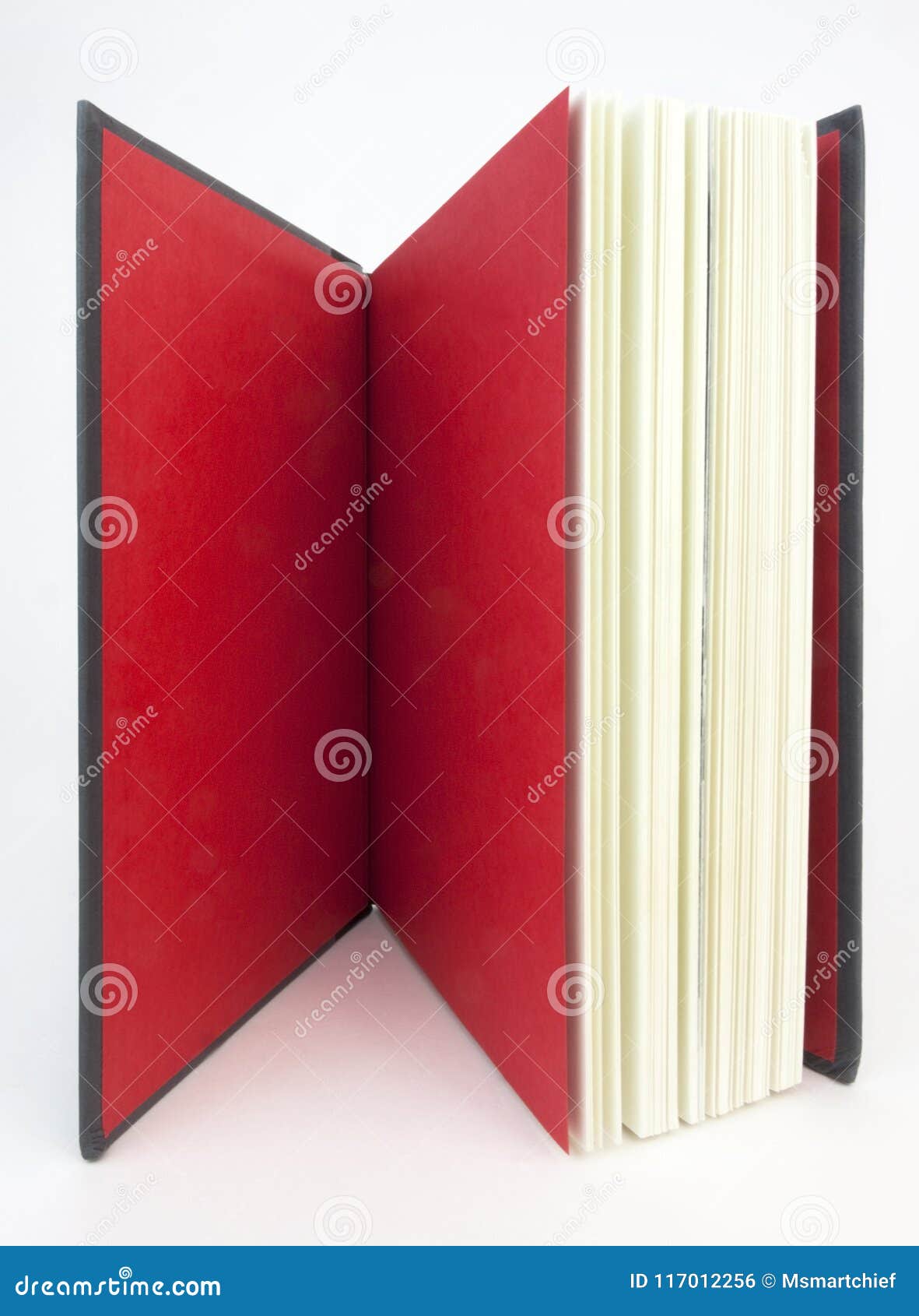 Standing Hardback Book stock photo. Image of blank, isolated - 117012256