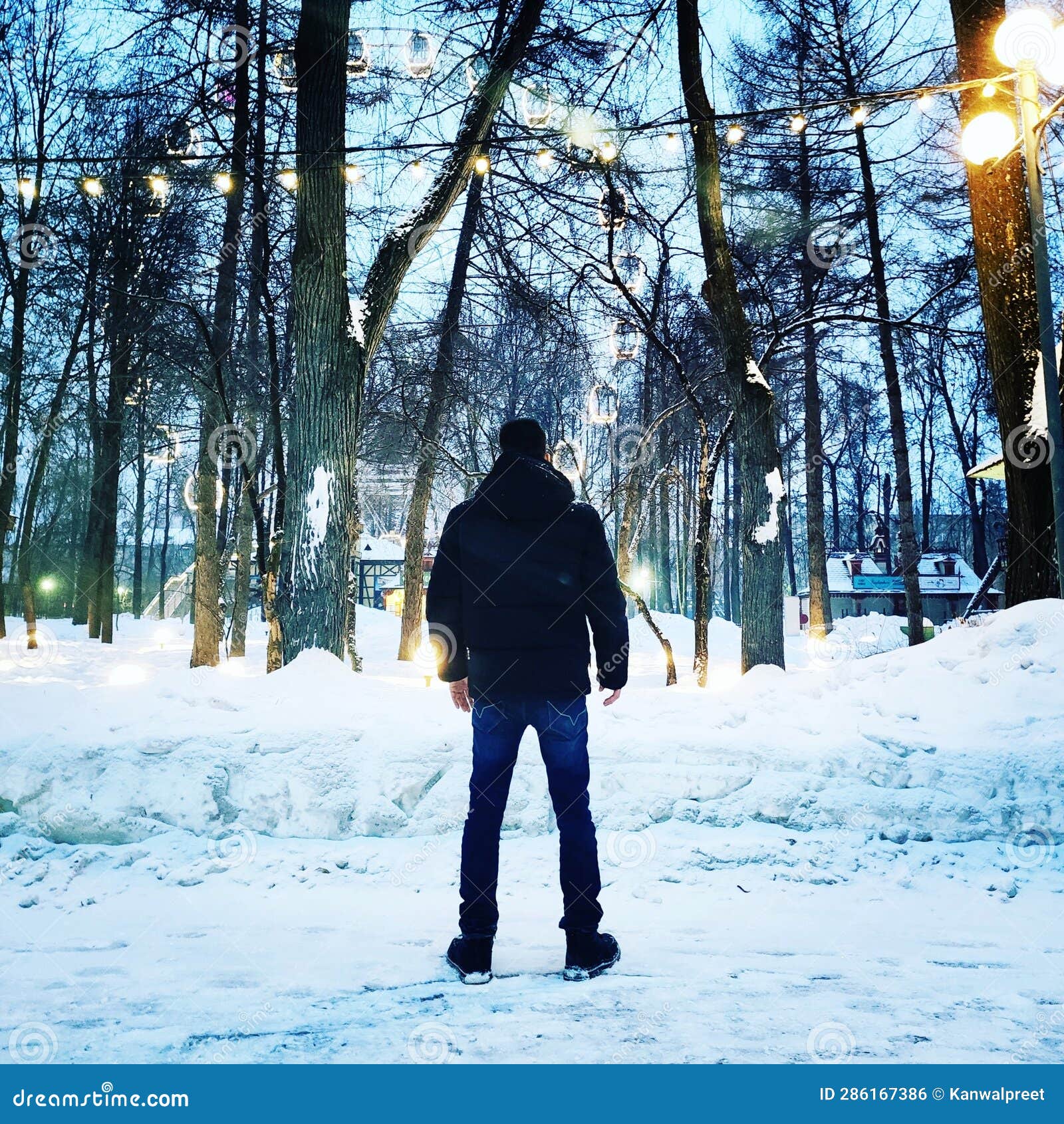 Standing in Ice View Trees Lights Man Stock Photo - Image of trees ...
