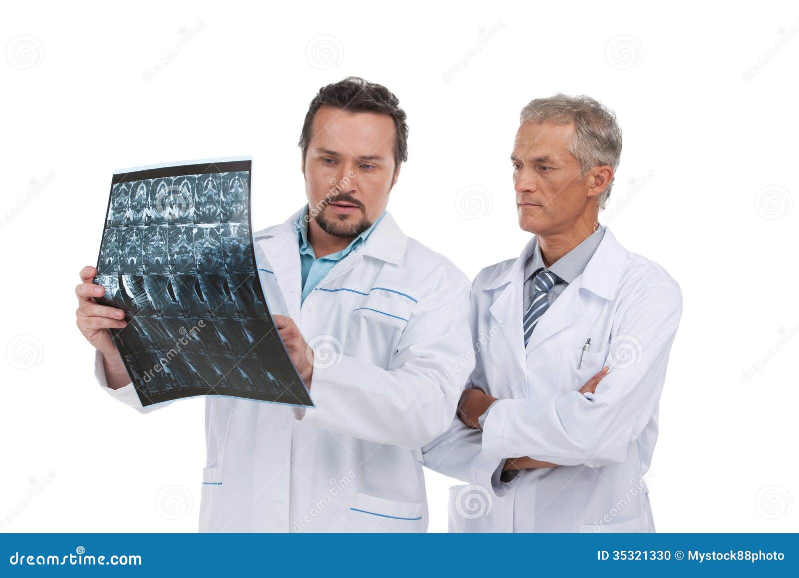 Standing Isolated on White Background Stock Photo - Image of grown ...