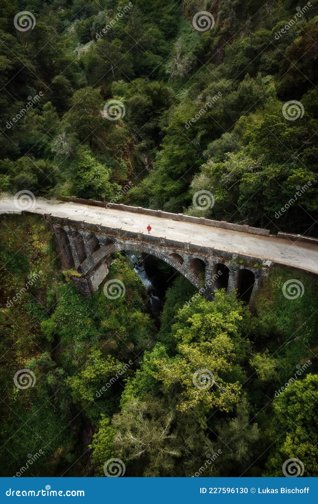 Standing on Jungle Bridge on Madeira Island, Portugal Stock Photo ...