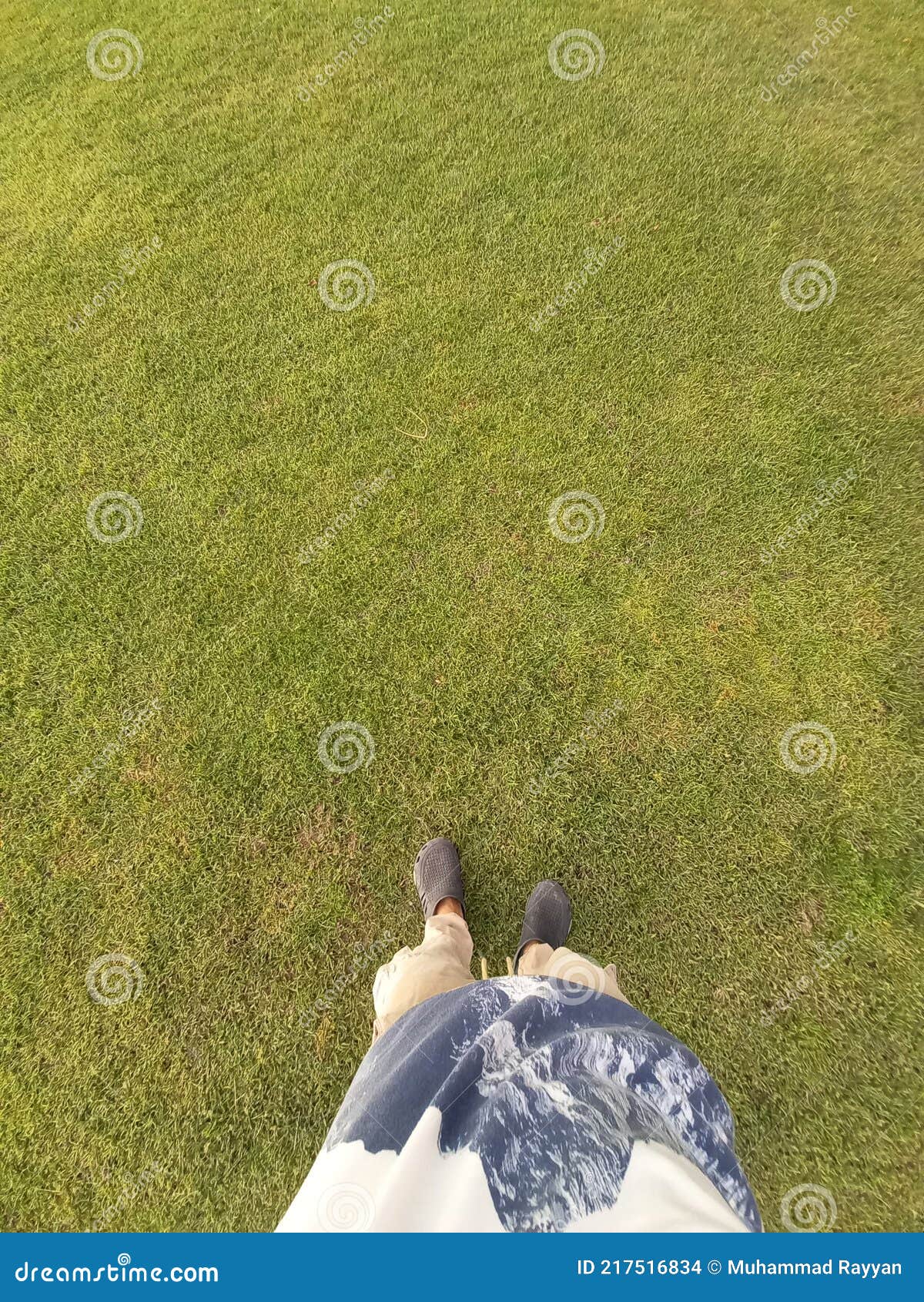 Standing on the lawn stock photo. Image of lawn, stand - 217516834