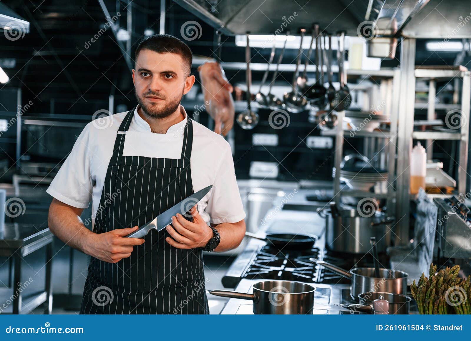 Standing and Looking at the Camera. Chef is on the Kitchen Preparing ...