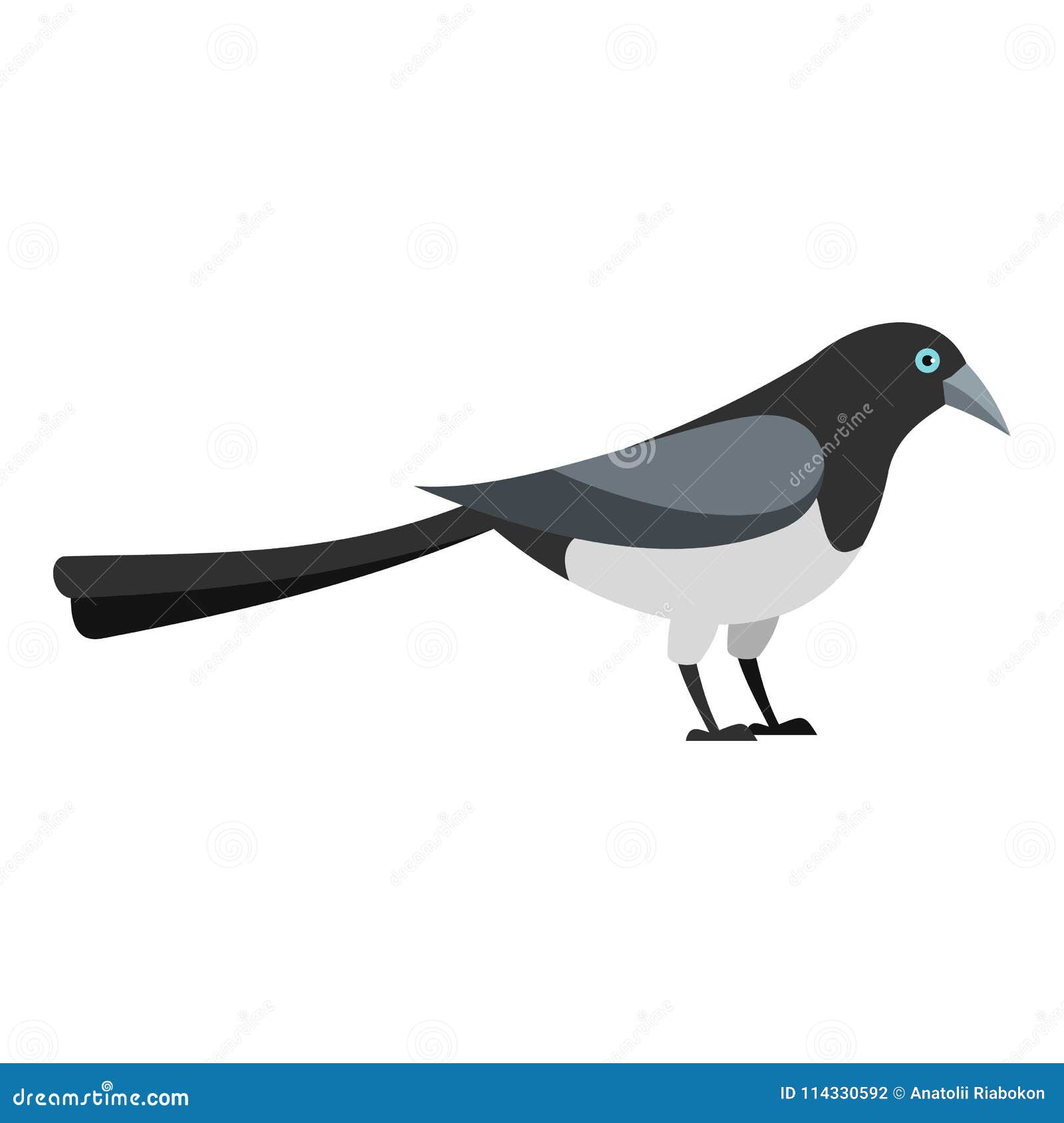 Standing Magpie Icon, Flat Style Stock Vector - Illustration of tail ...