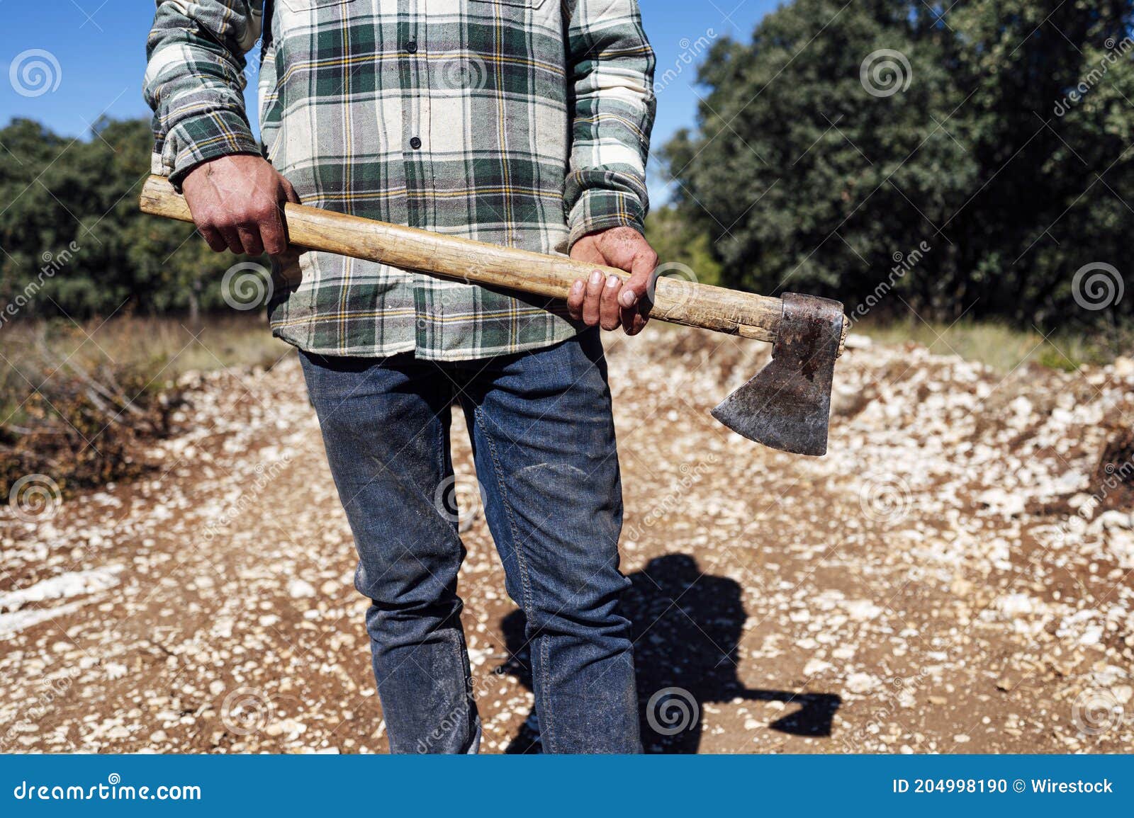 Standing man holding an ax stock photo. Image of pattern - 204998190