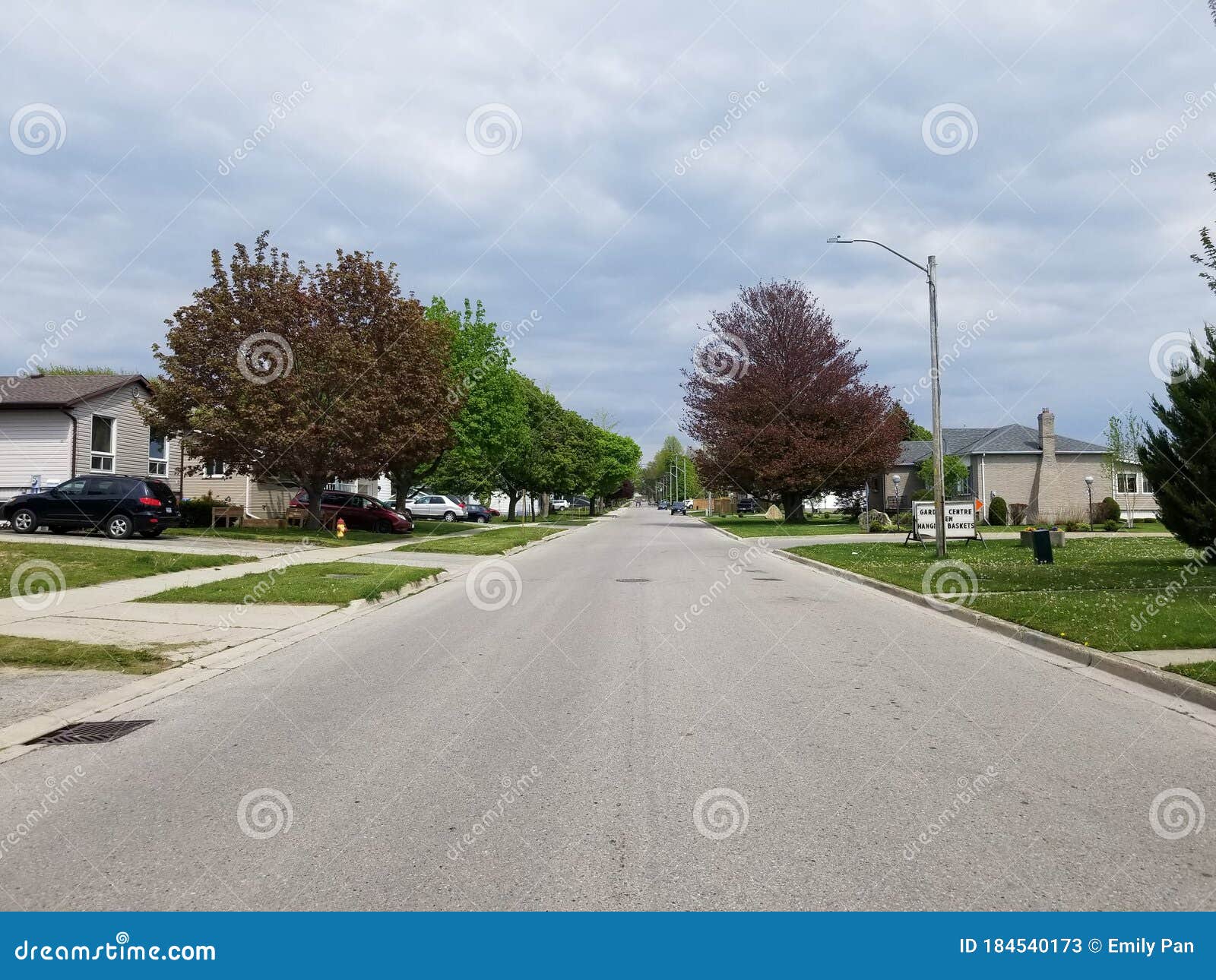 Standing in the Middle of the Road Stock Image - Image of asphalt ...