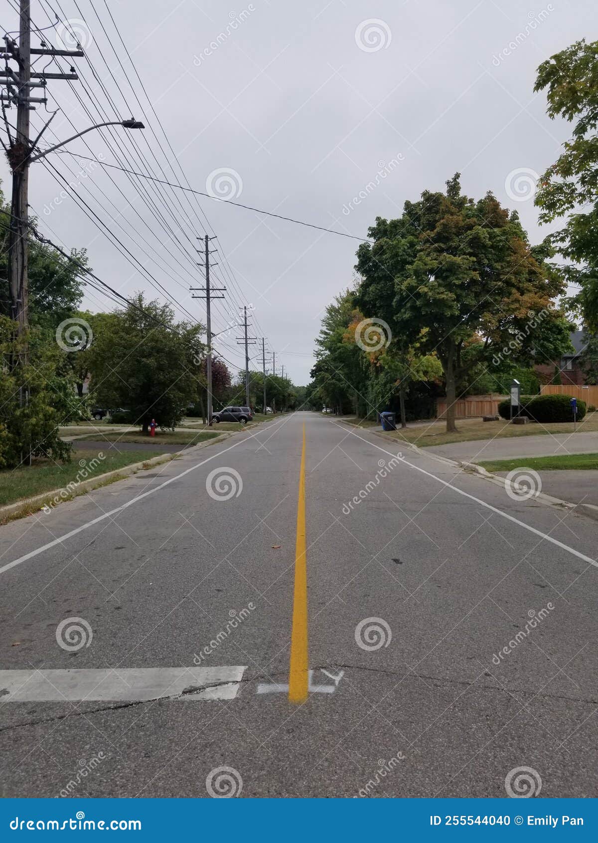 Standing in the Middle of the Road Stock Photo - Image of freeway ...