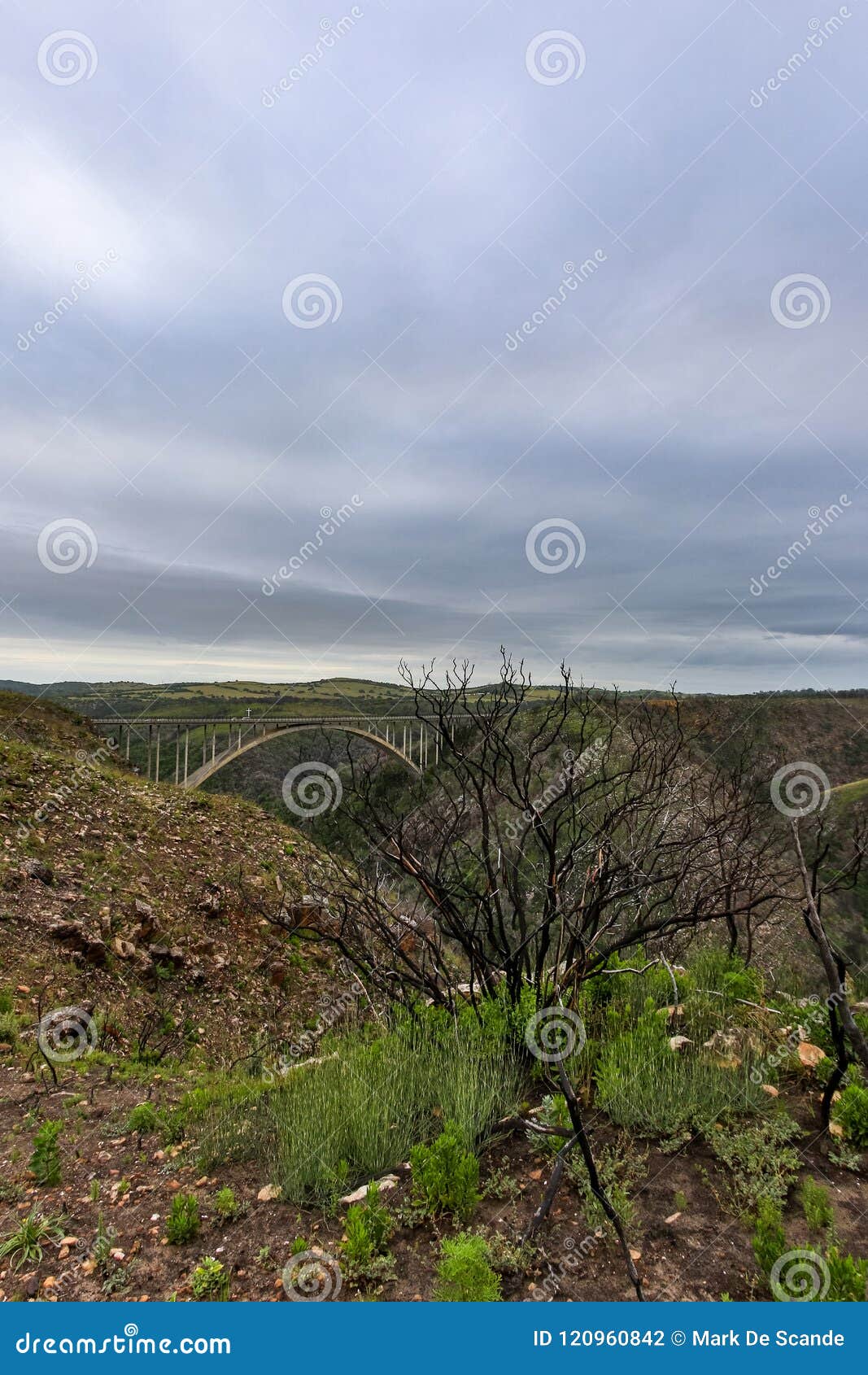 Standing on the Mountain Cliff Overlooking the Bridge Stock Photo ...