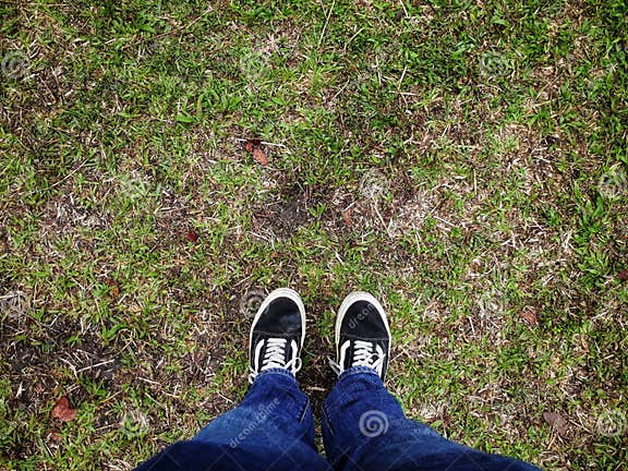 Standing on Natural and Nice Green Growth Stock Image - Image of ...