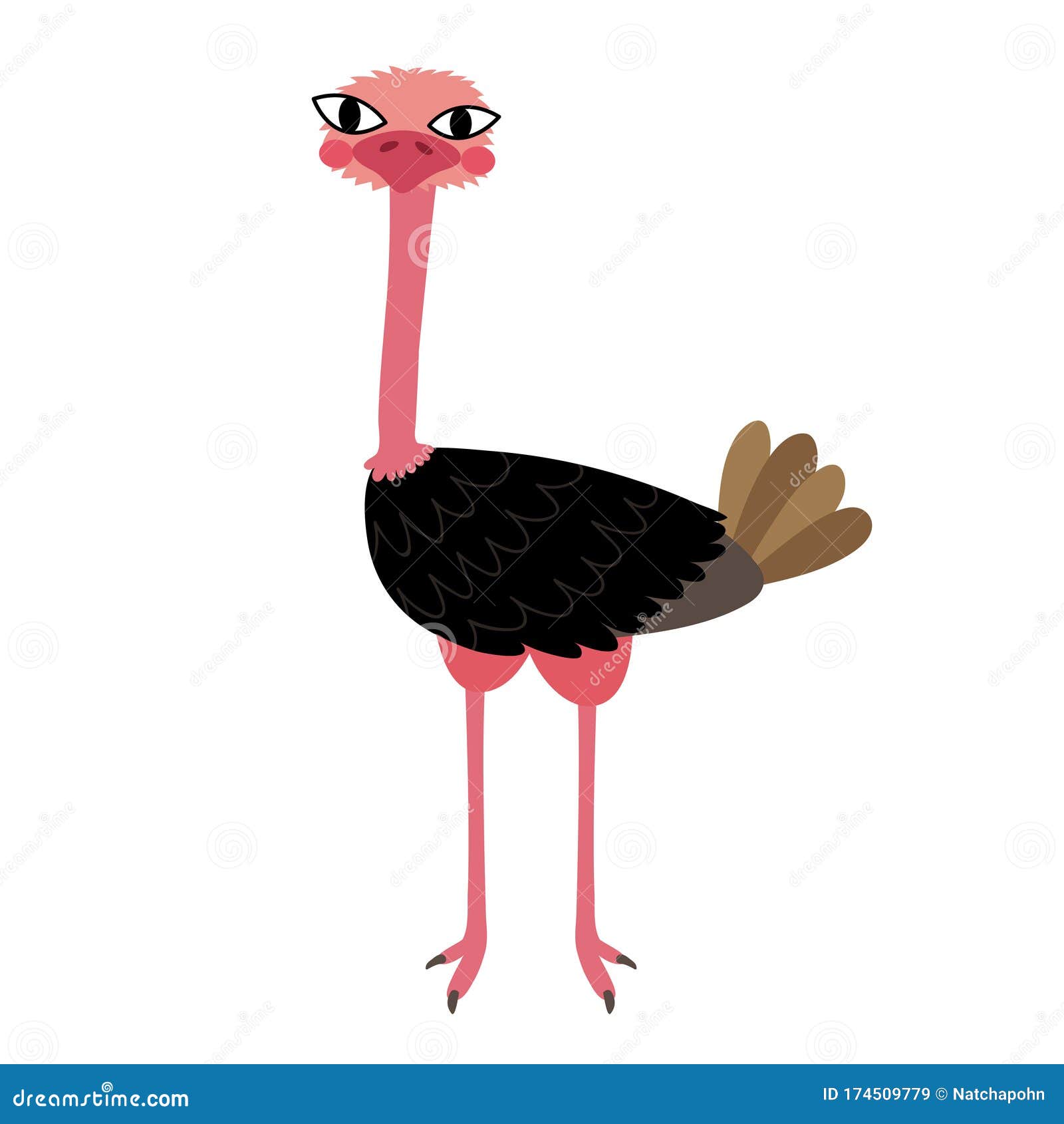 Ostrich Animal Portrait Dressed As A Warrior Fighter Or Combatant ...