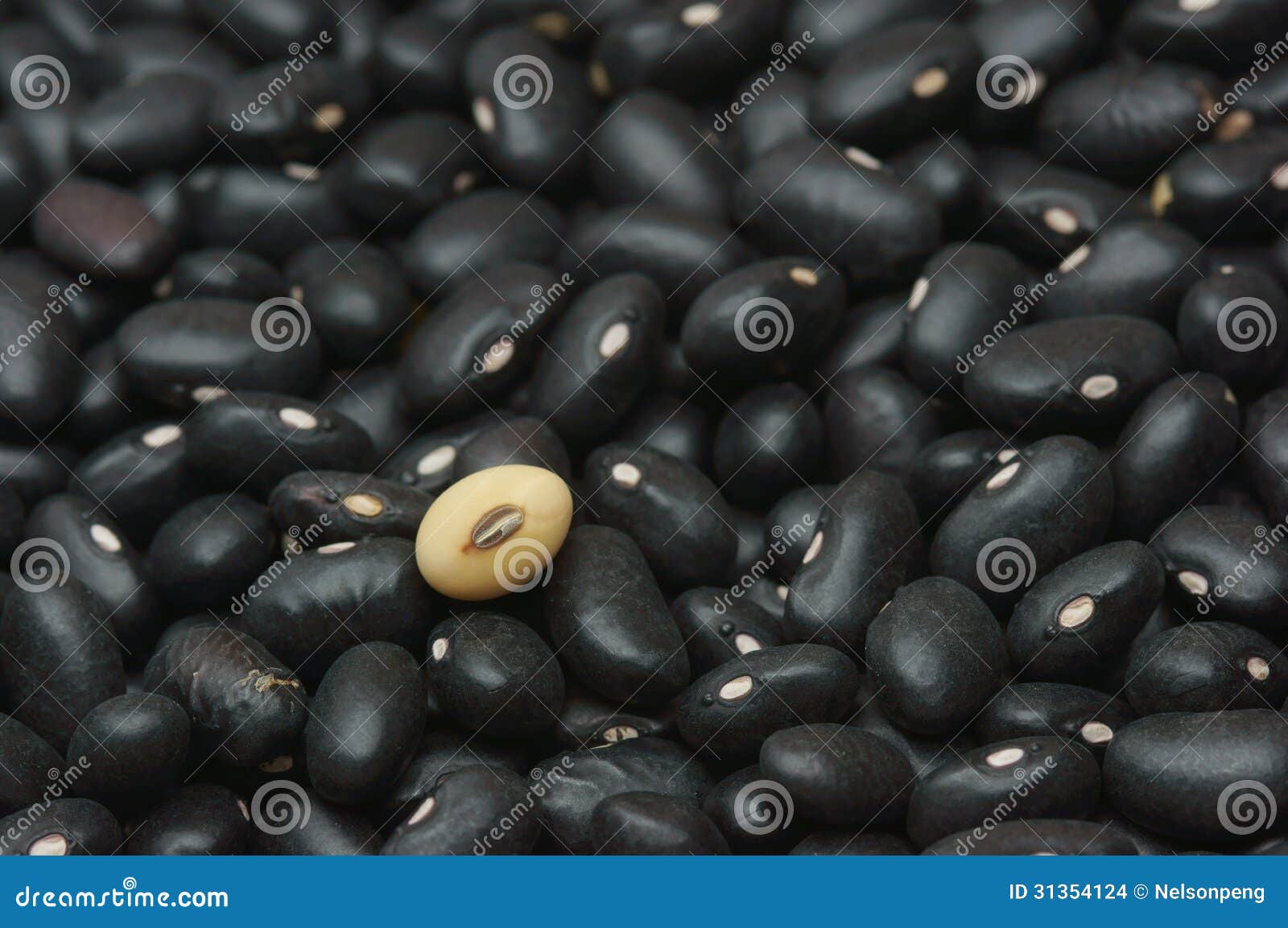 Standing out of crowd stock photo. Image of outstanding - 31354124