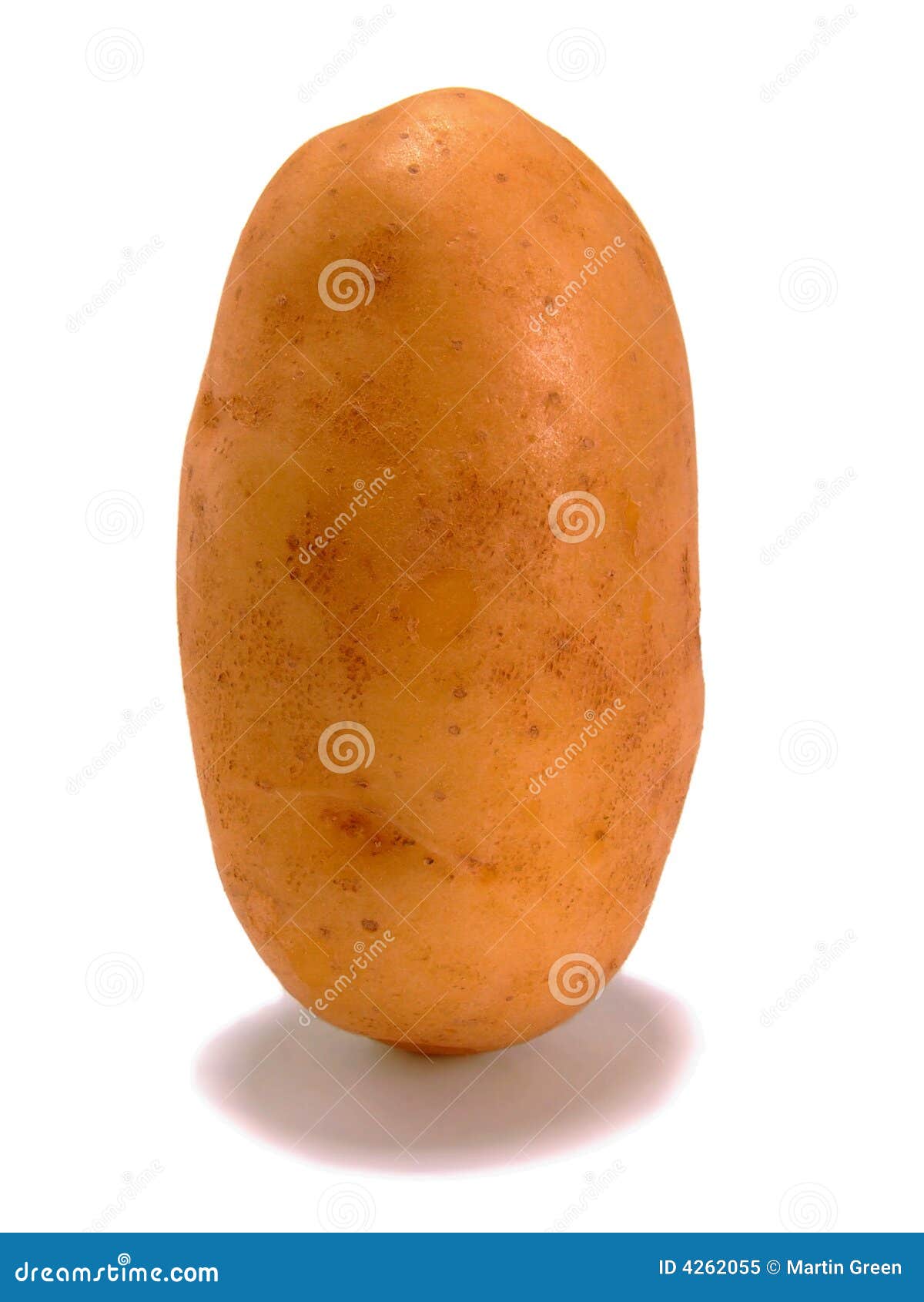 Standing Potato Picture. Image: 4262055