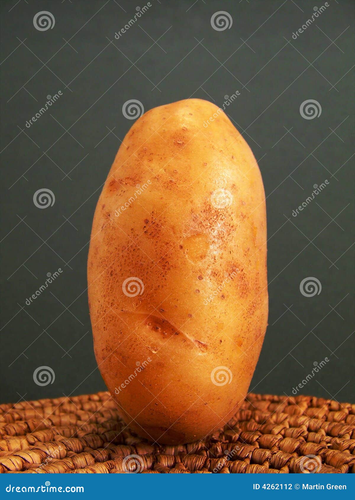 Standing Potato /C stock photo. Image of nutrition, potato - 4262112