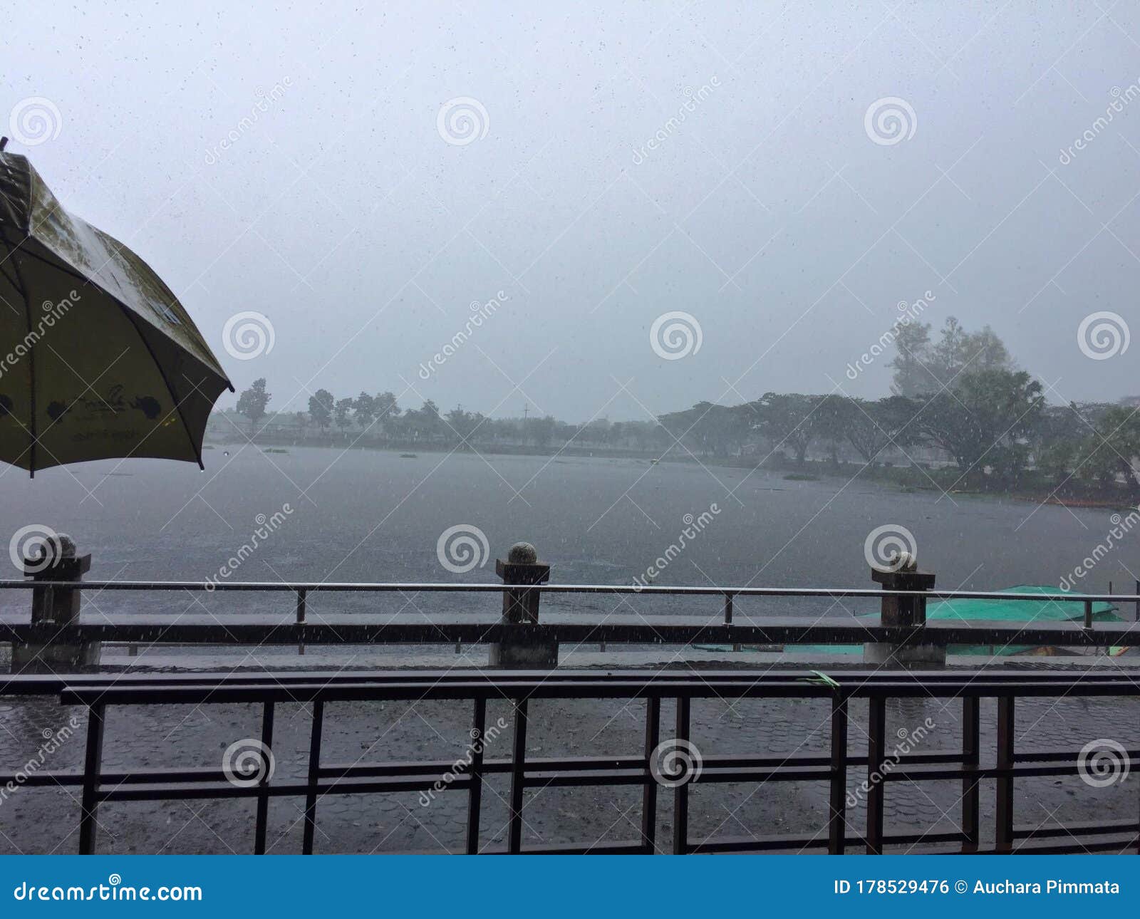 Standing in the Rain in the Cold Wind Stock Photo - Image of heart ...