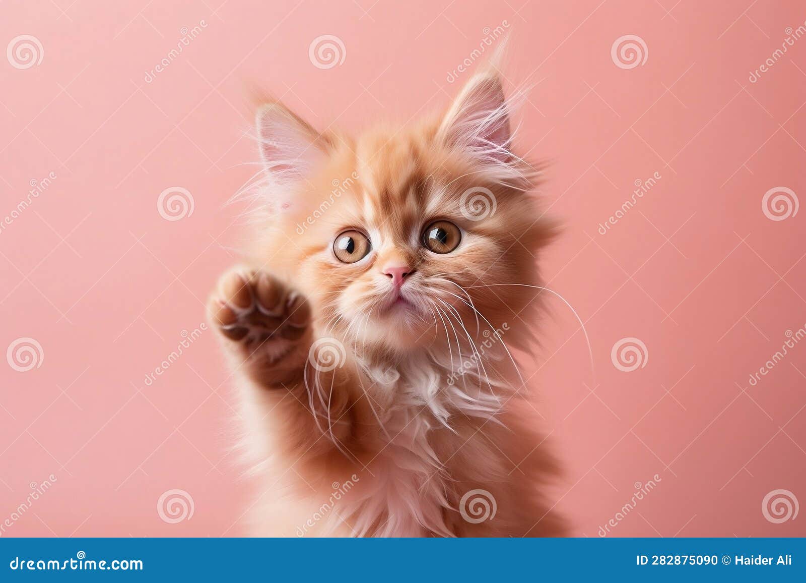 Standing and Raising Funny Hair Cat. Generative AI Stock Illustration ...