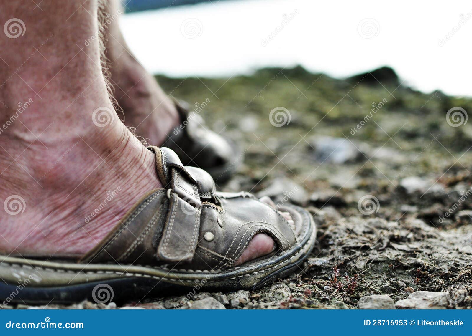 Standing on Rocky Ground, Weary and Worn. Stock Image - Image of hike ...