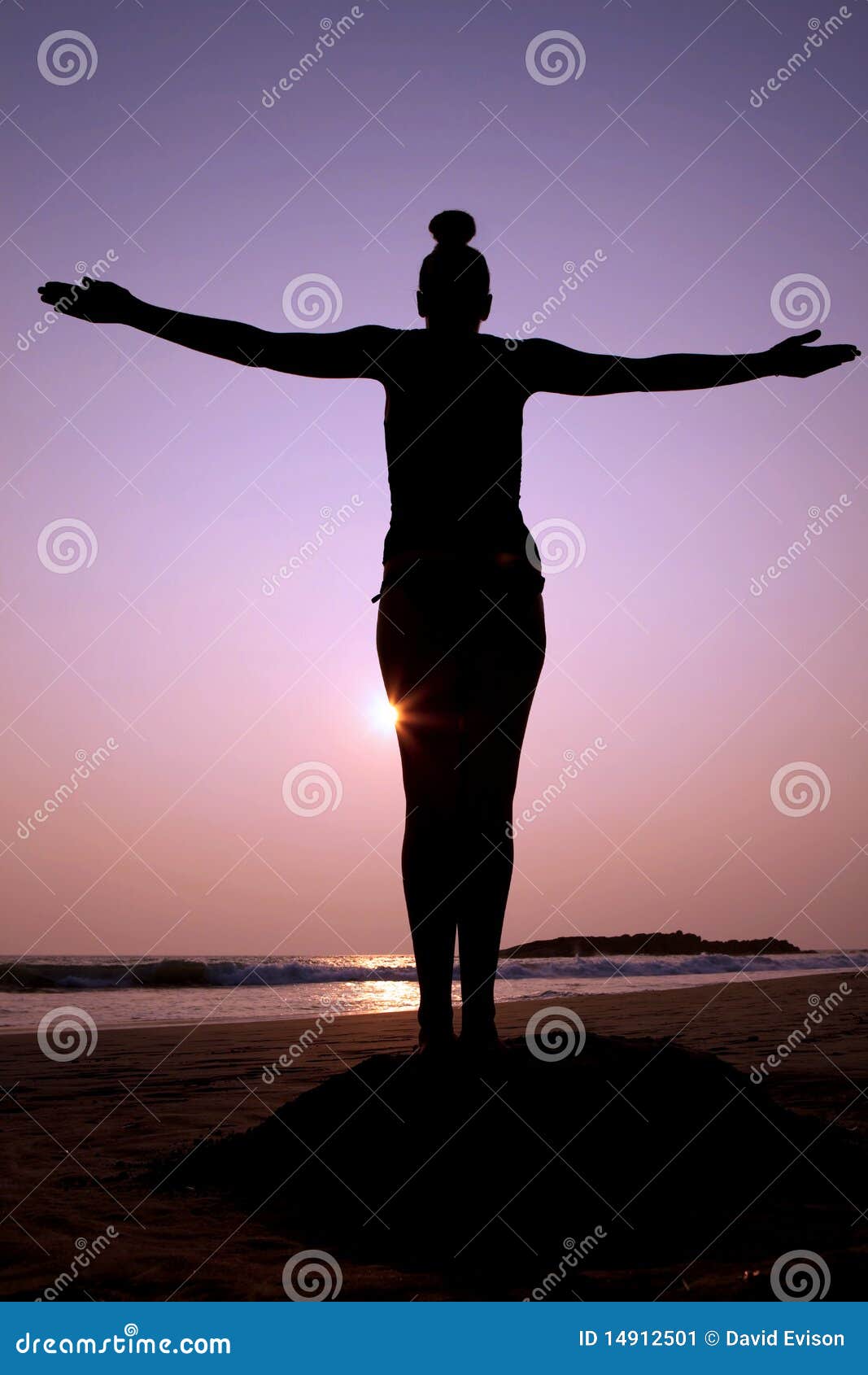 Standing Silhouette Pose. Freedom/strength Stock Image - Image of fresh ...